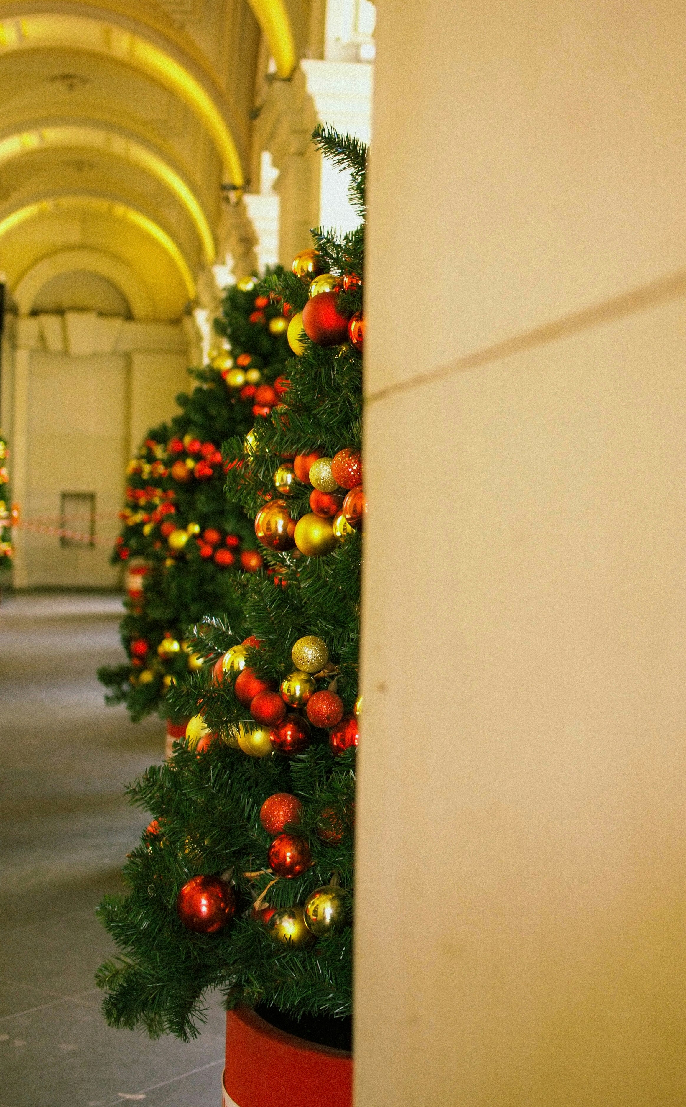 Row of Christmas trees with red and gold ornaments line a long arched hallway, bathed in warm indoor light.