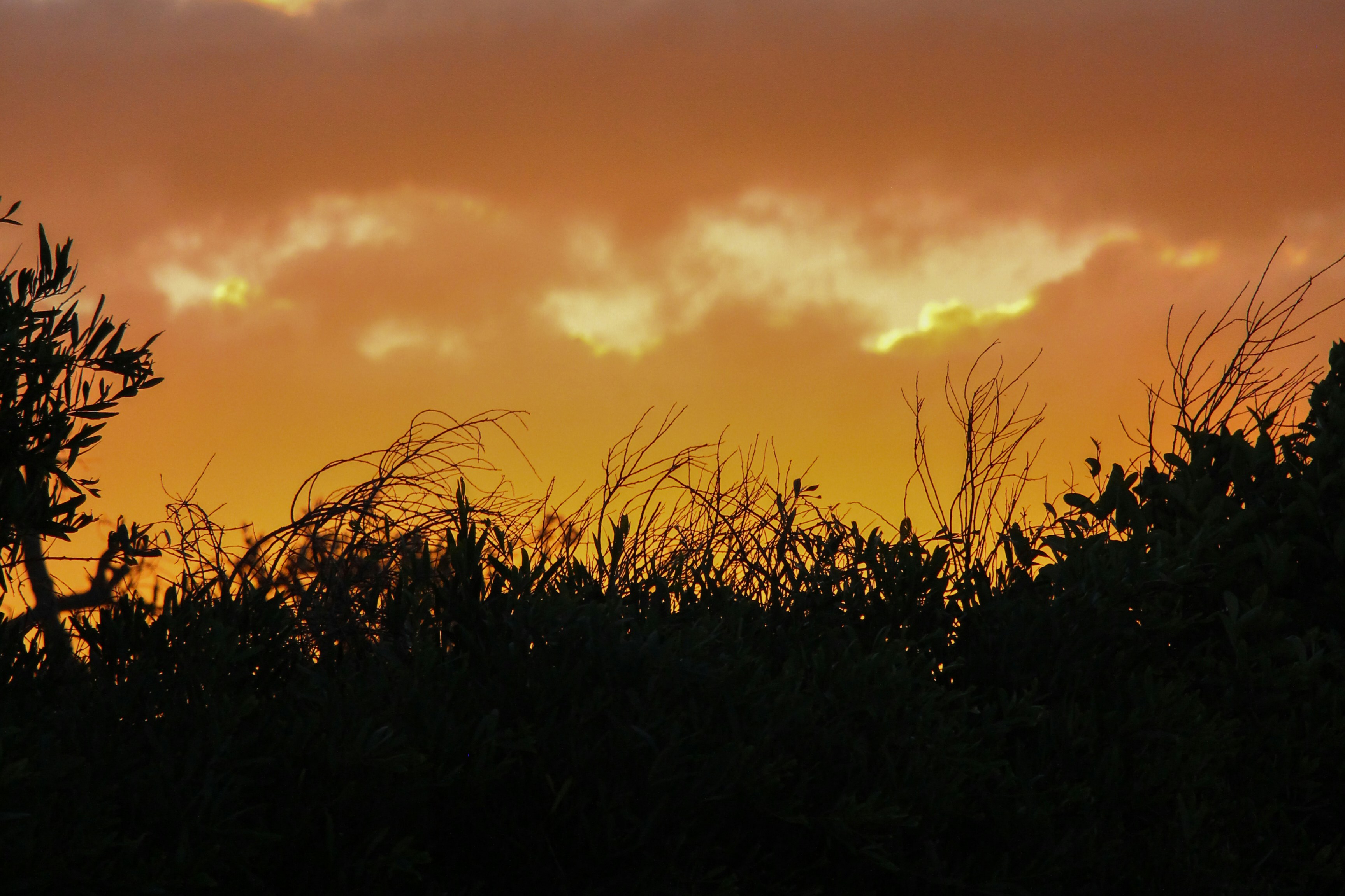 A beautiful orange sunset on the Gold Coast.