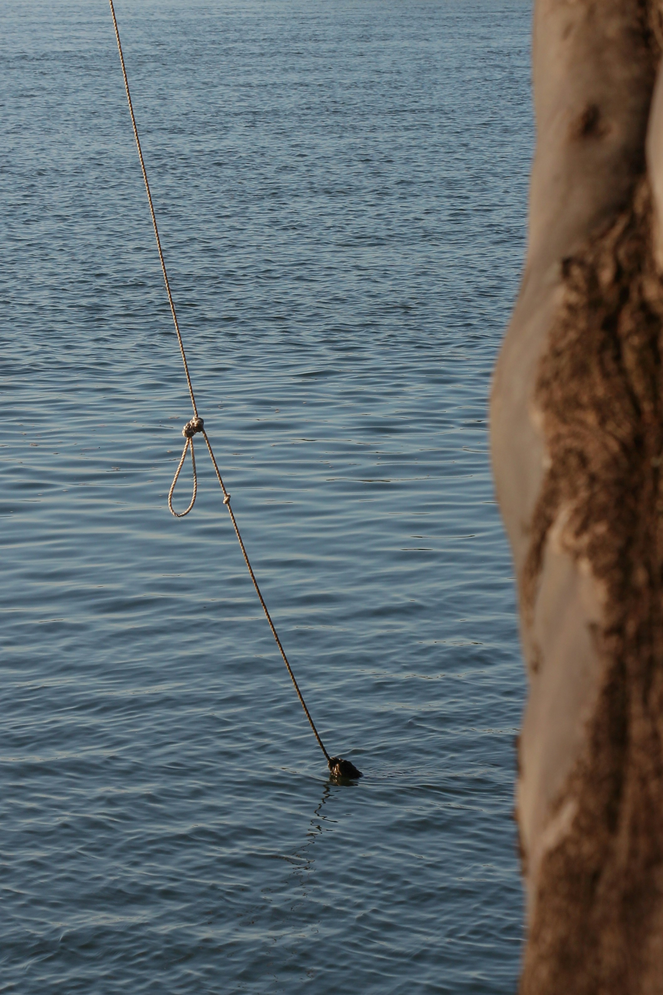 Dejar ser - by Paulina Jaramillo - Paulina’s Substack