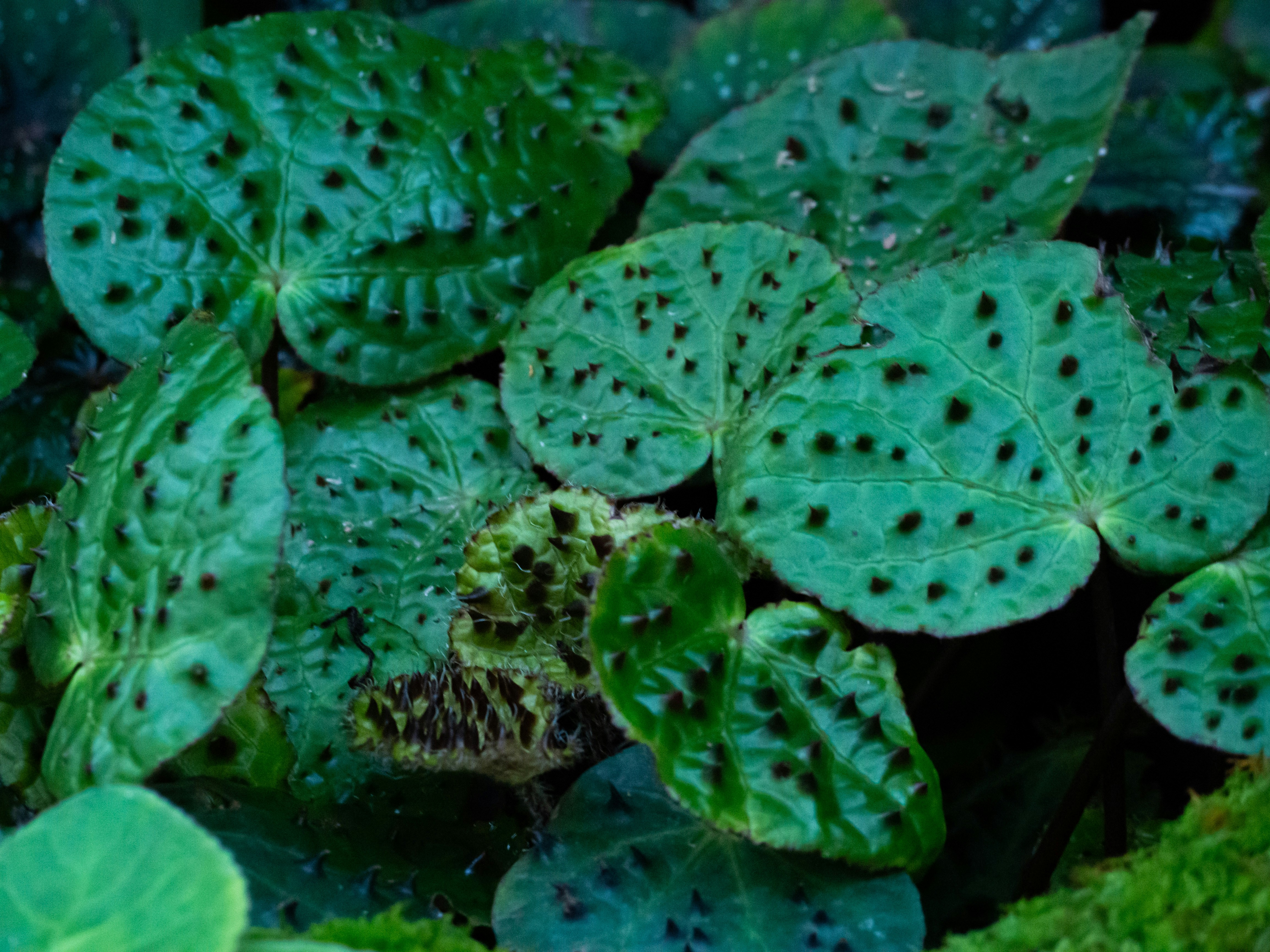 Photo by Sirius Harrison with Olympus OM-D E-M10