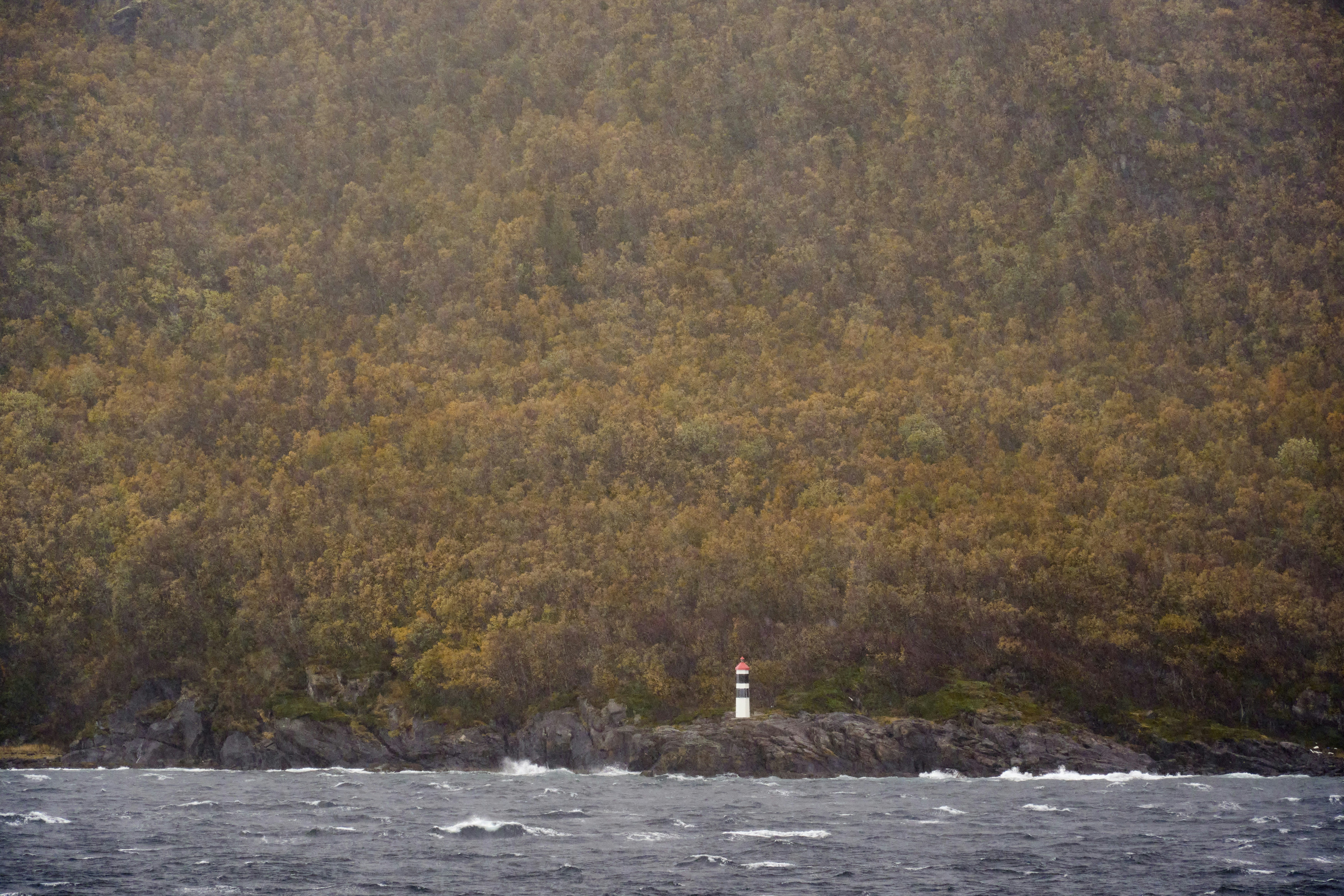 Lone beacon on the rocky shore beneath autumn forest
