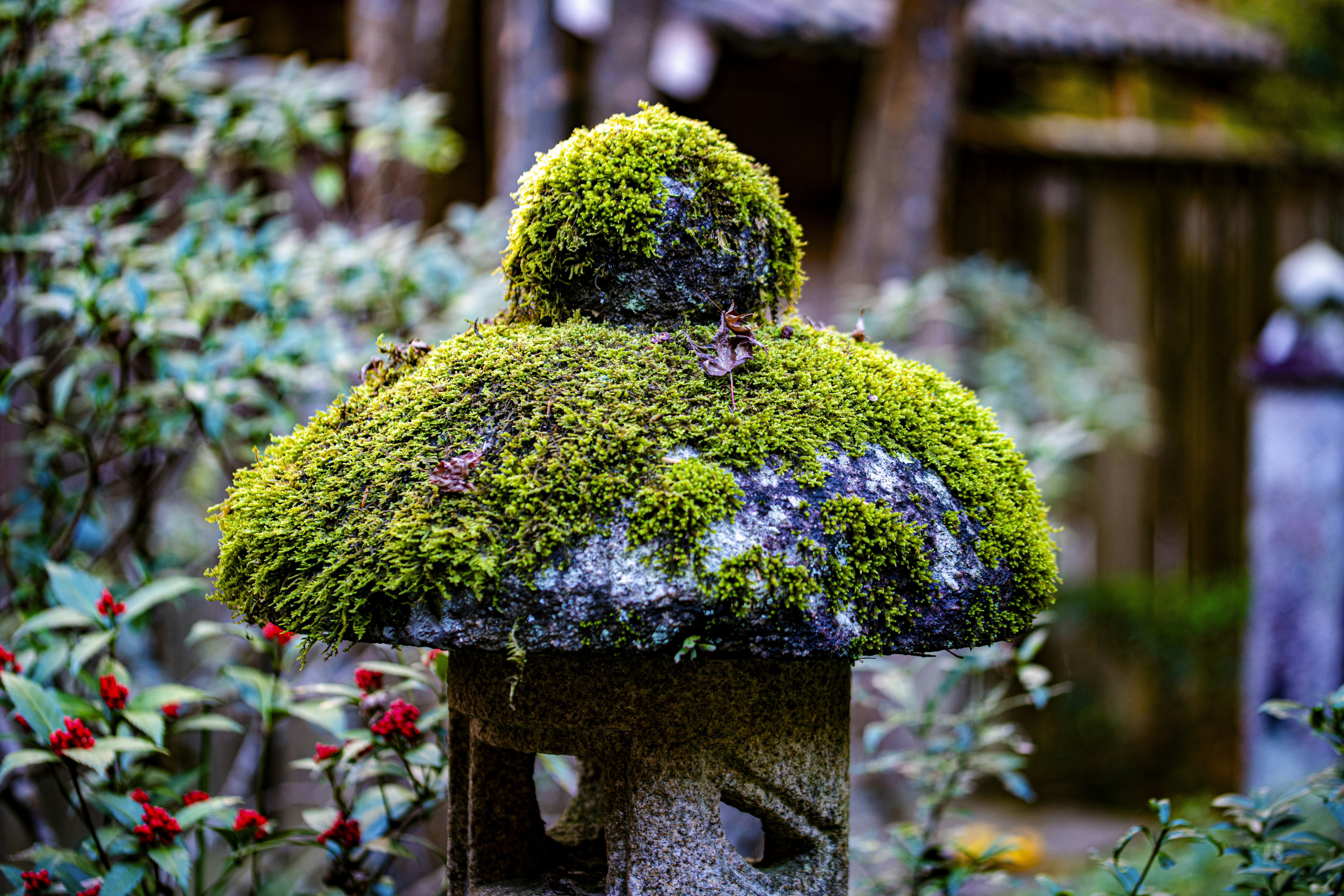 Photo by Kazuhiro Yoshimura with Nikon D850