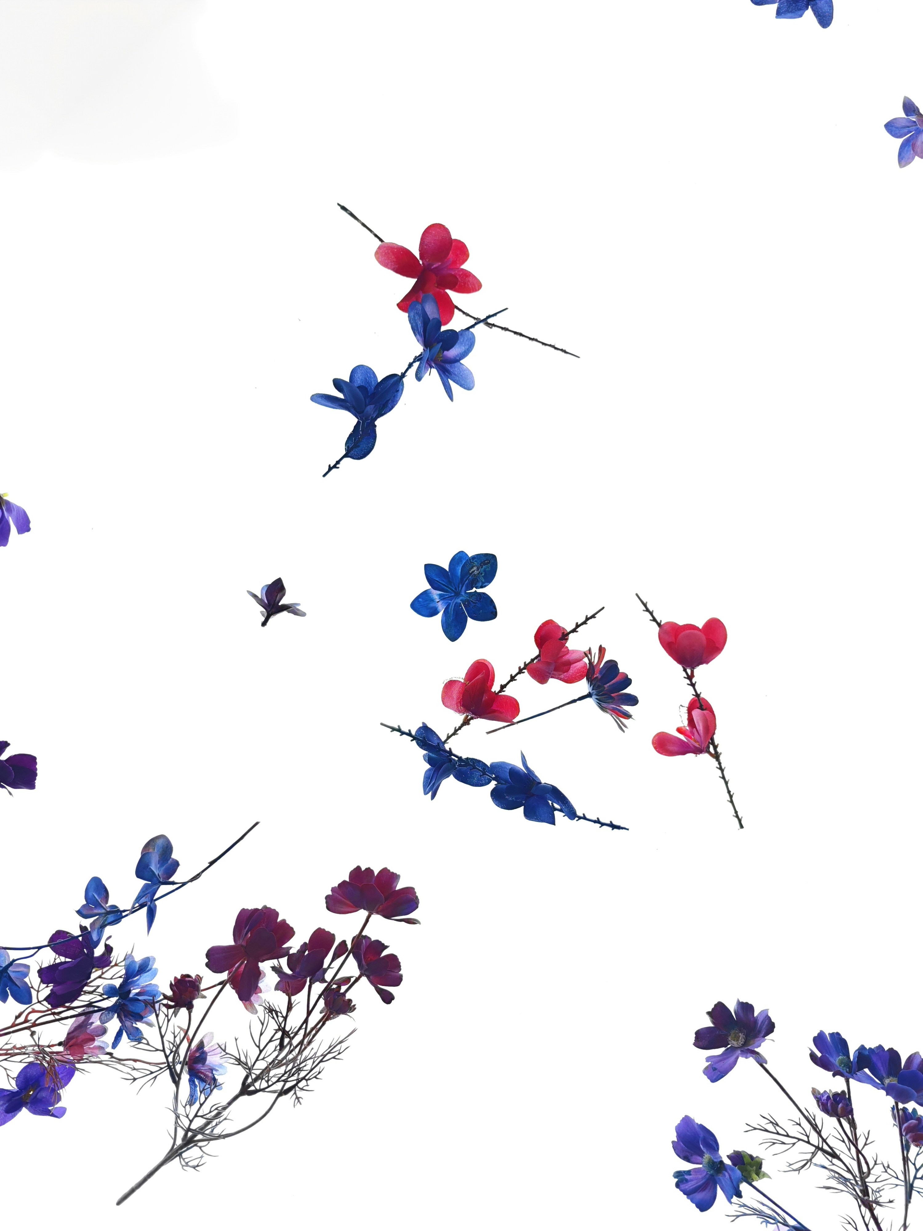 A bunch of flowers that are flying in the air photo – Free Flower Image ...