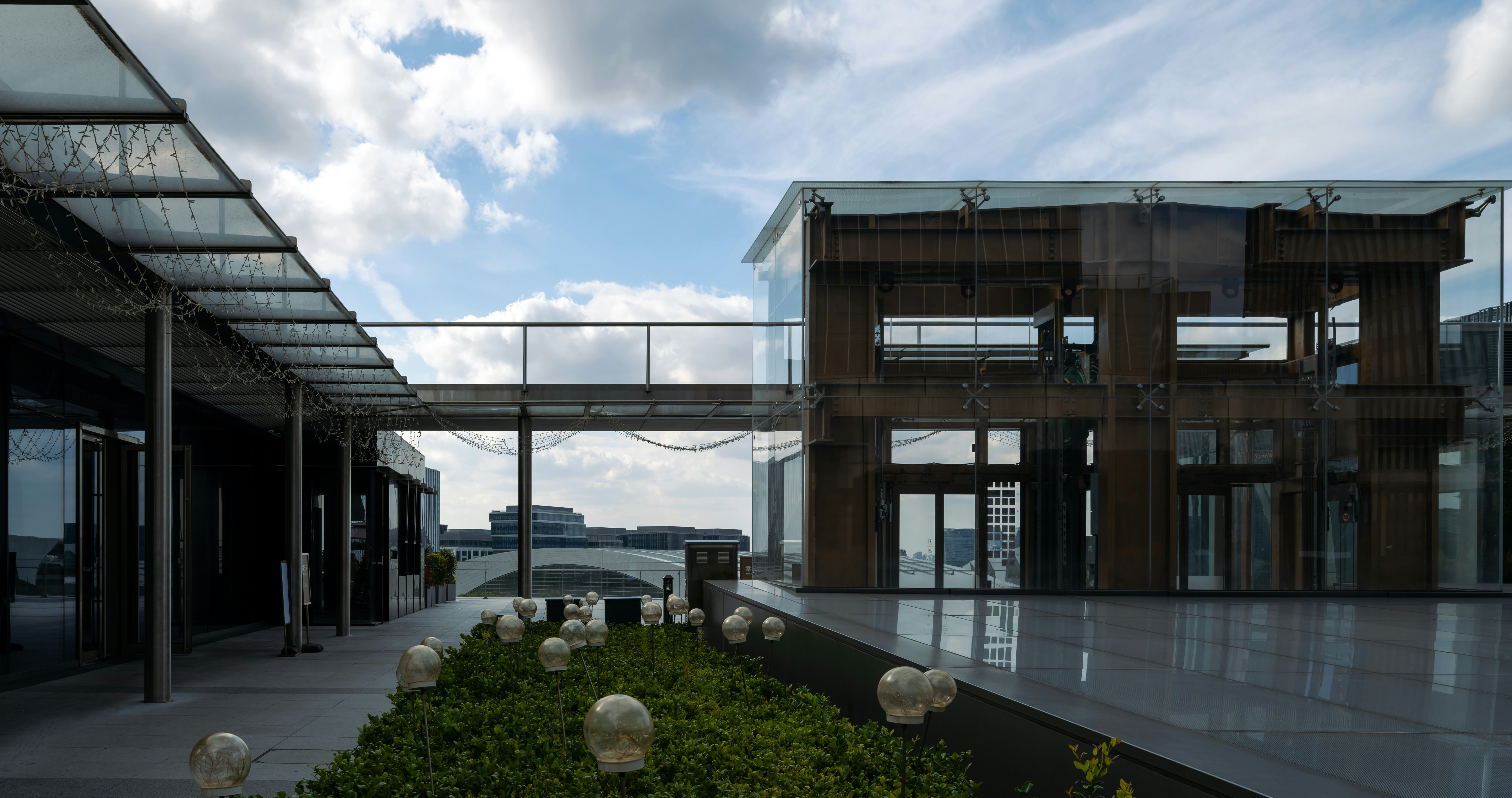 Photo by Declan Sun with Nikon Z8