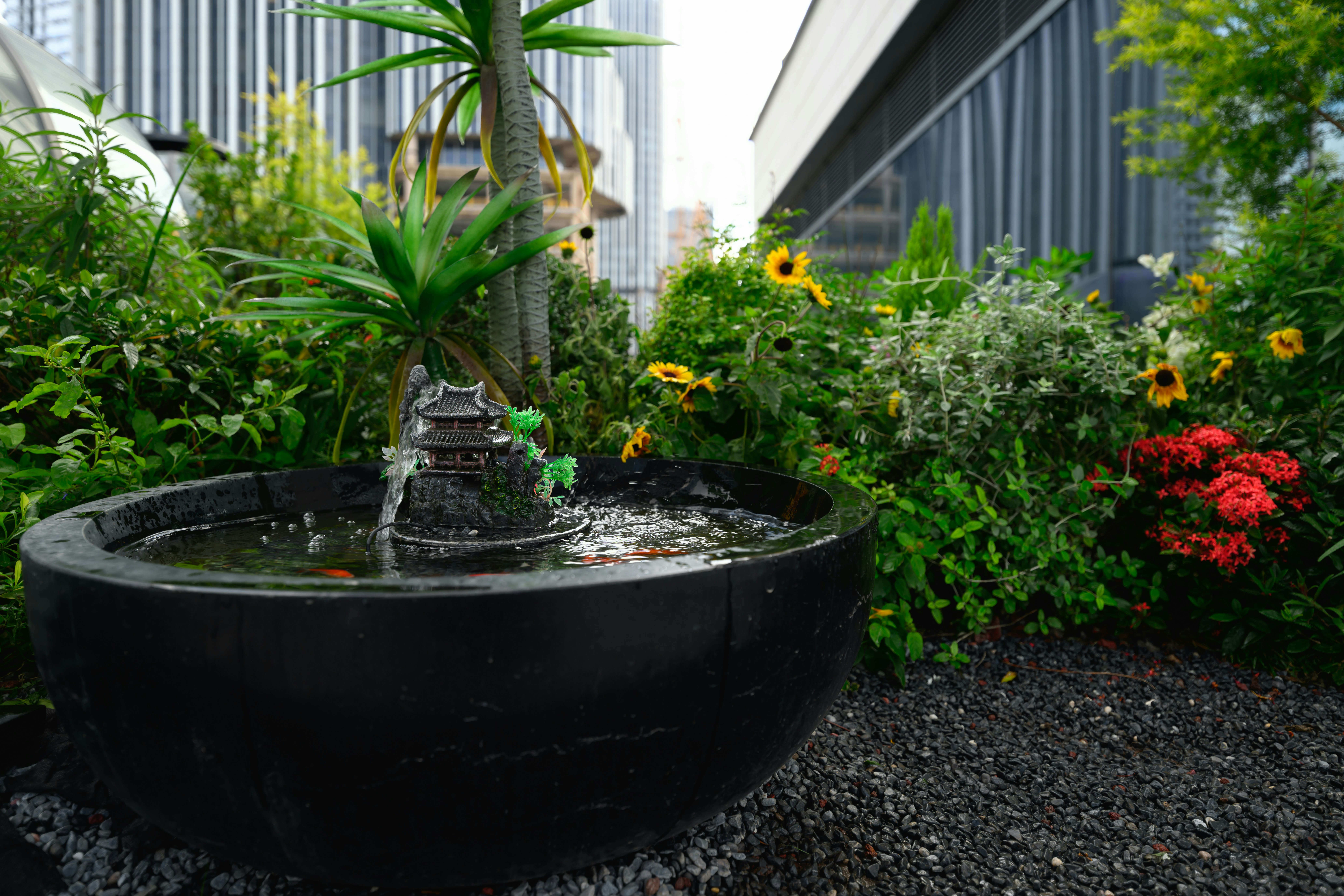 Urban Oasis: Black Ceramic Planter with a Petite Pagoda Fountain Amid Sunflowers