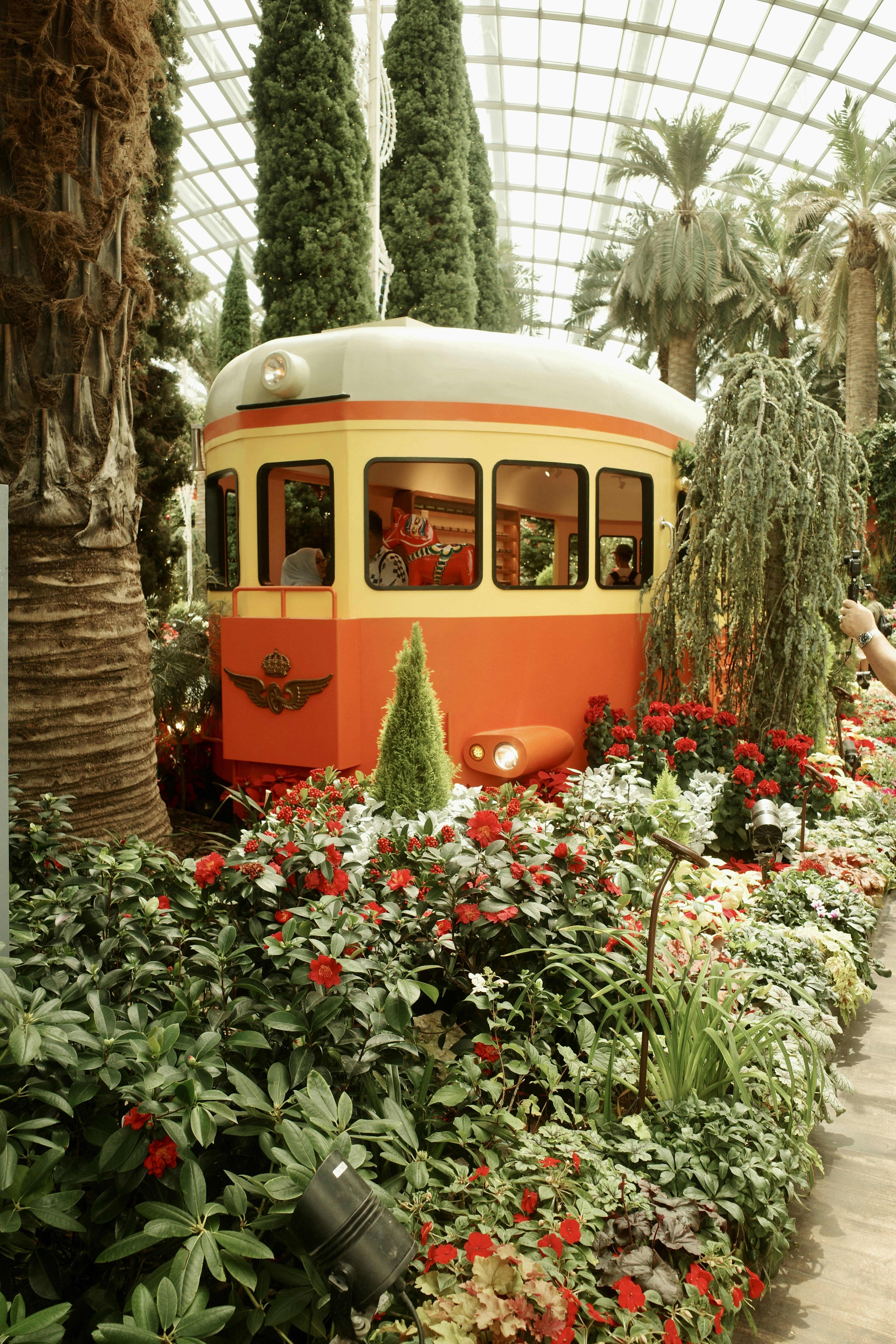 Orange tram nestled among tropical blooms in a glass conservatory