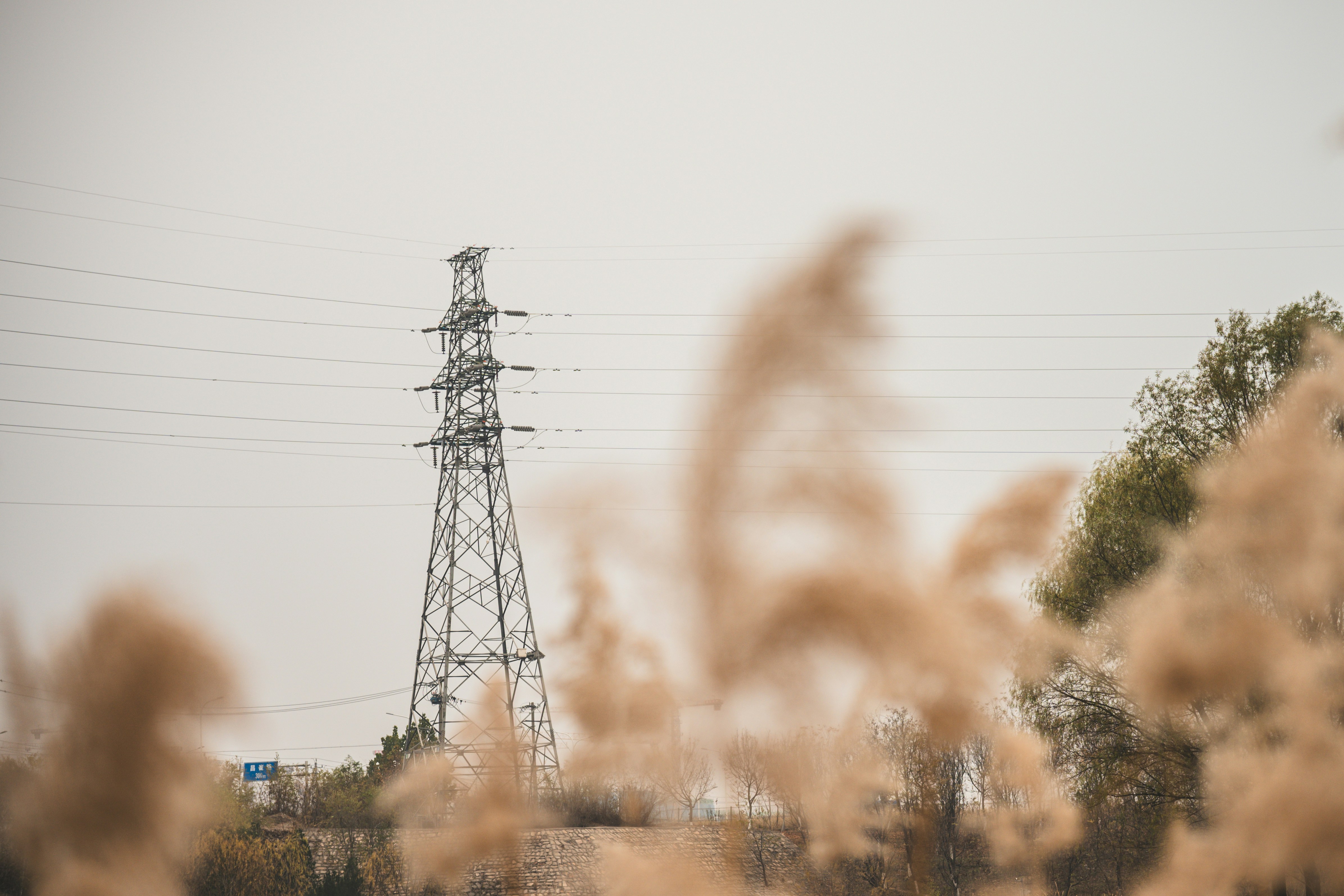 Lattice Sentinel in a Field: Transmission Tower Framed by Golden Foreground