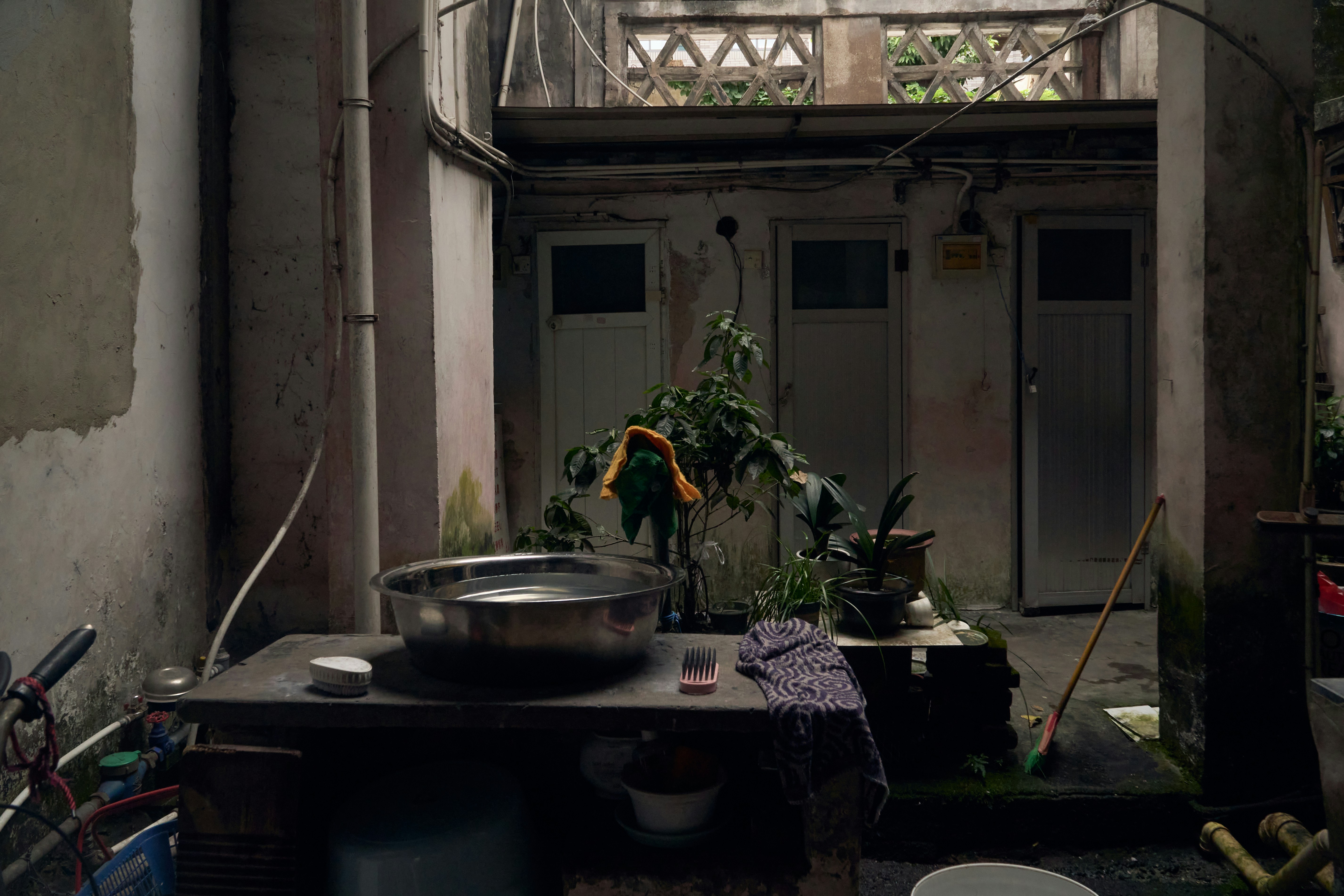 A room filled with lots of clutter and plants photo – Free Food Image ...