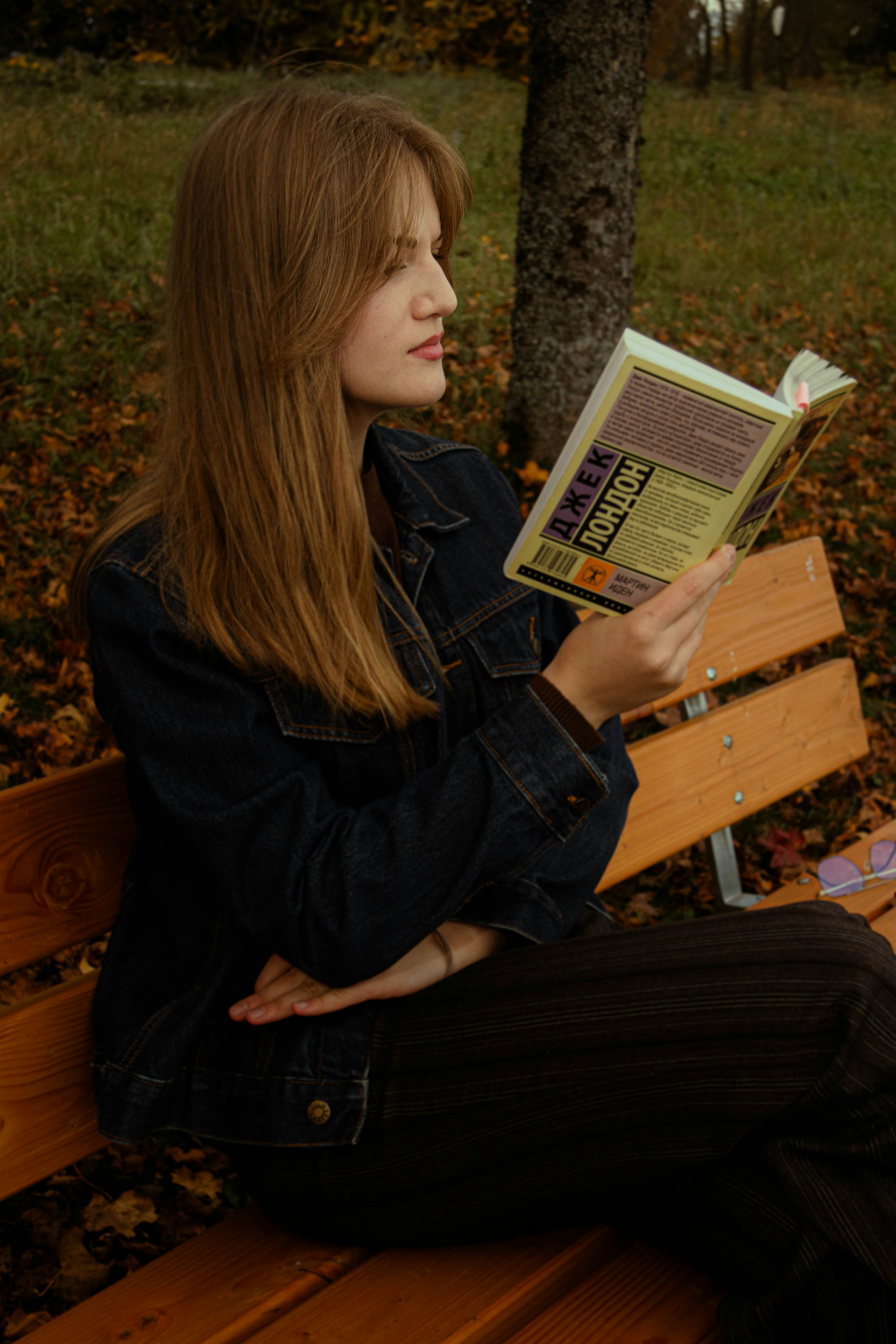 Autumn Quiet on the Park Bench: A Woman Reading in Warm Afternoon Light
