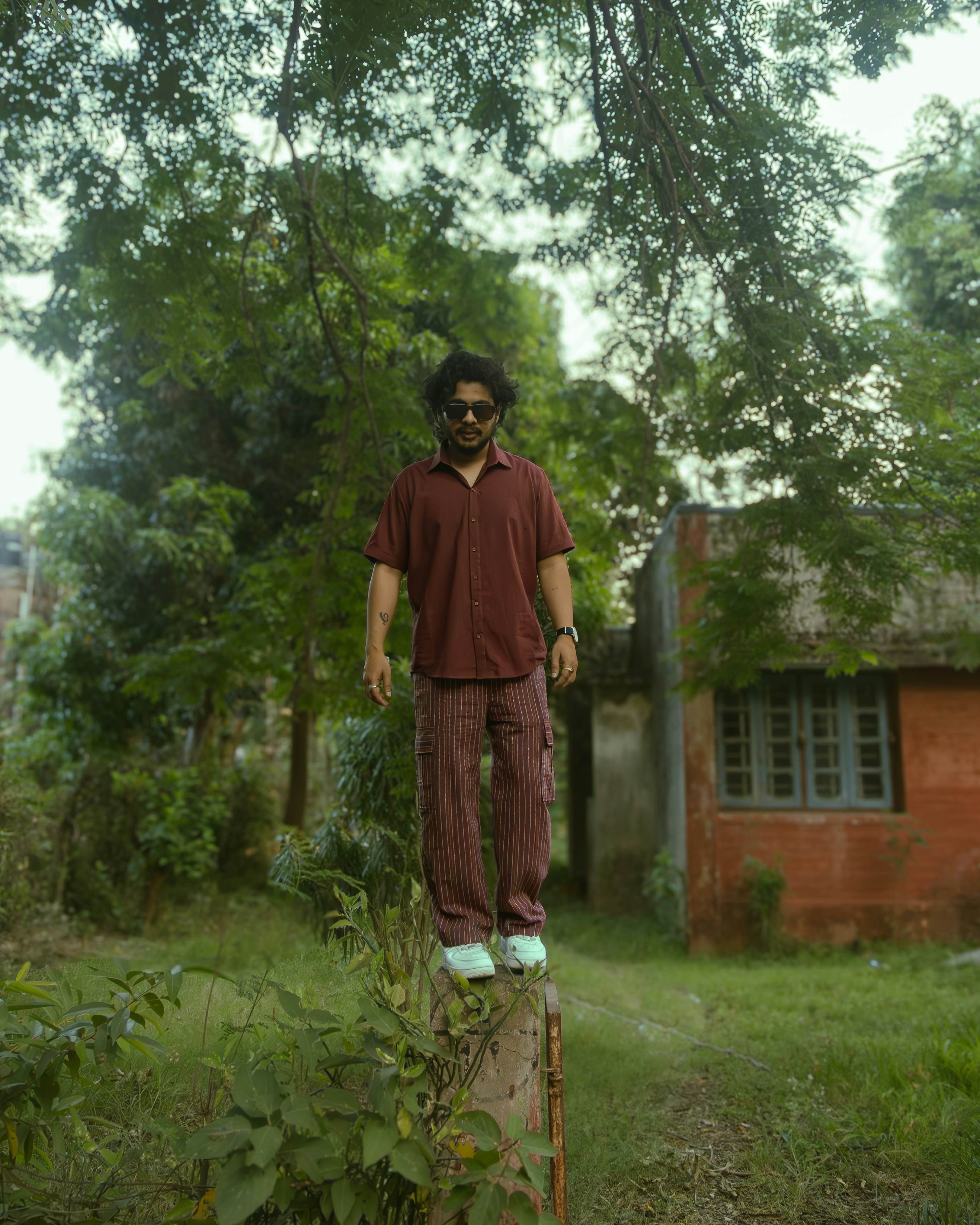 Man in Maroon Shirt Stands Amid Verdant Backyard