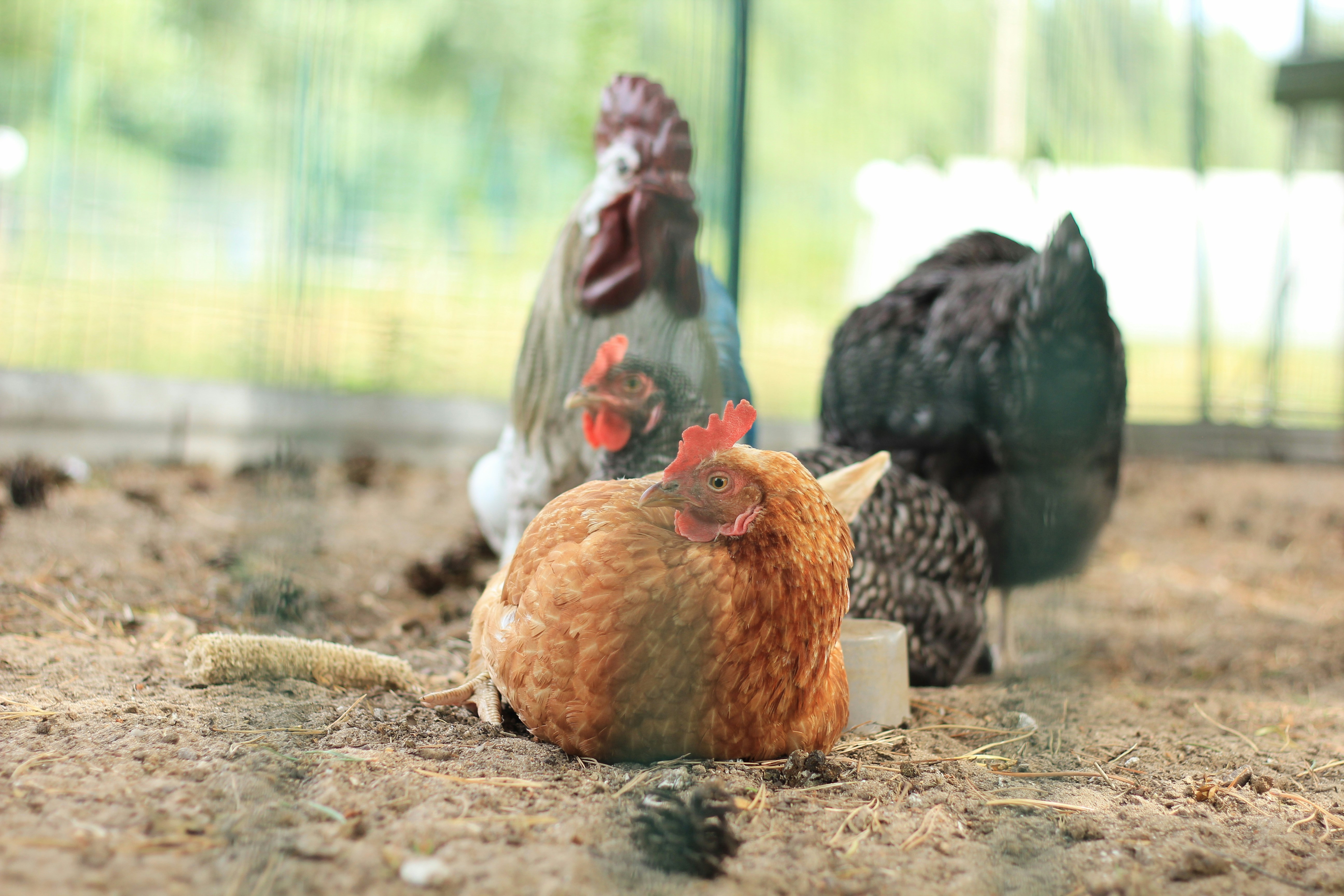 Photo by Aleksandar Kashtanov with Canon EOS 60D