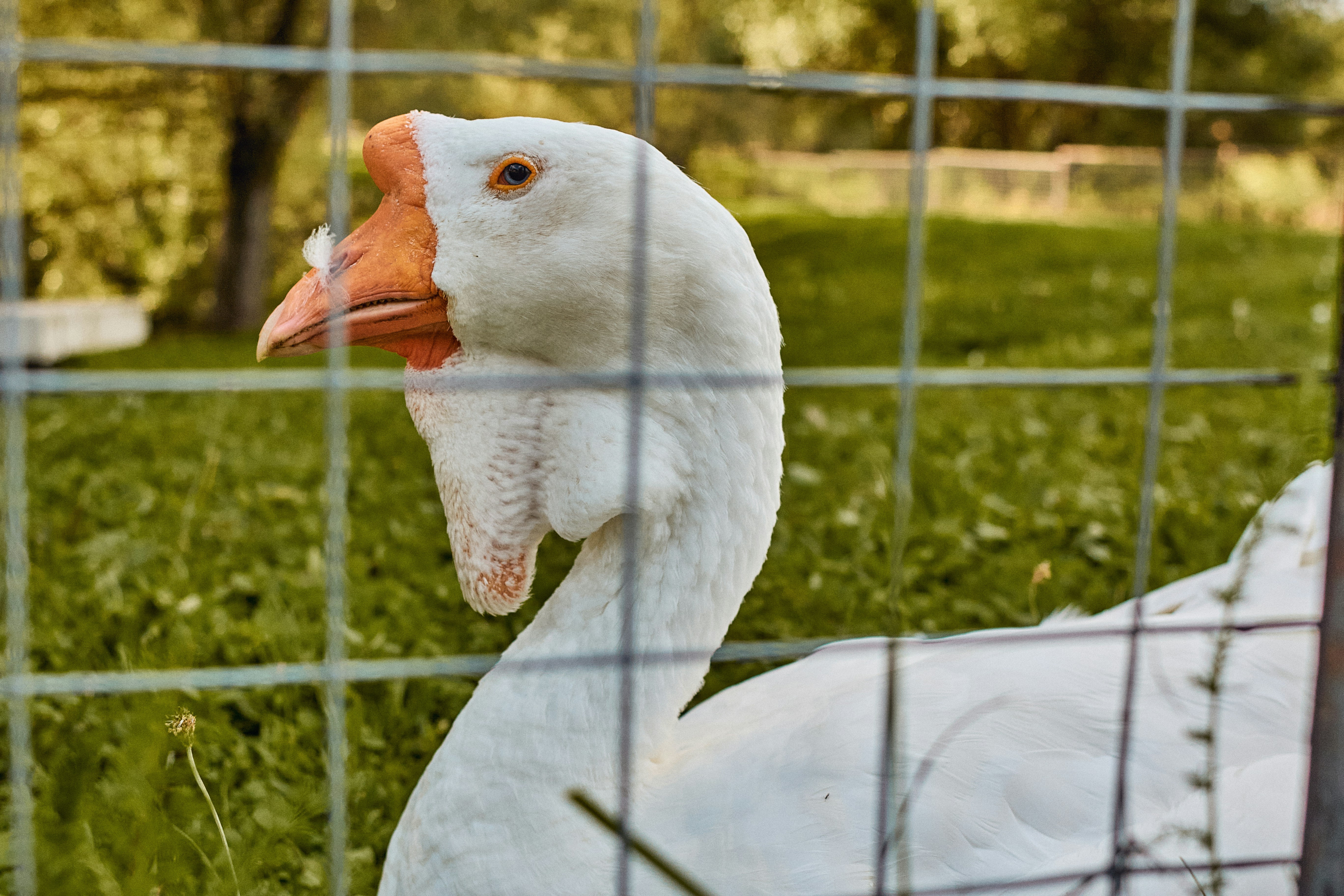 Photo by Aleksandar Kashtanov with Canon EOS 70D