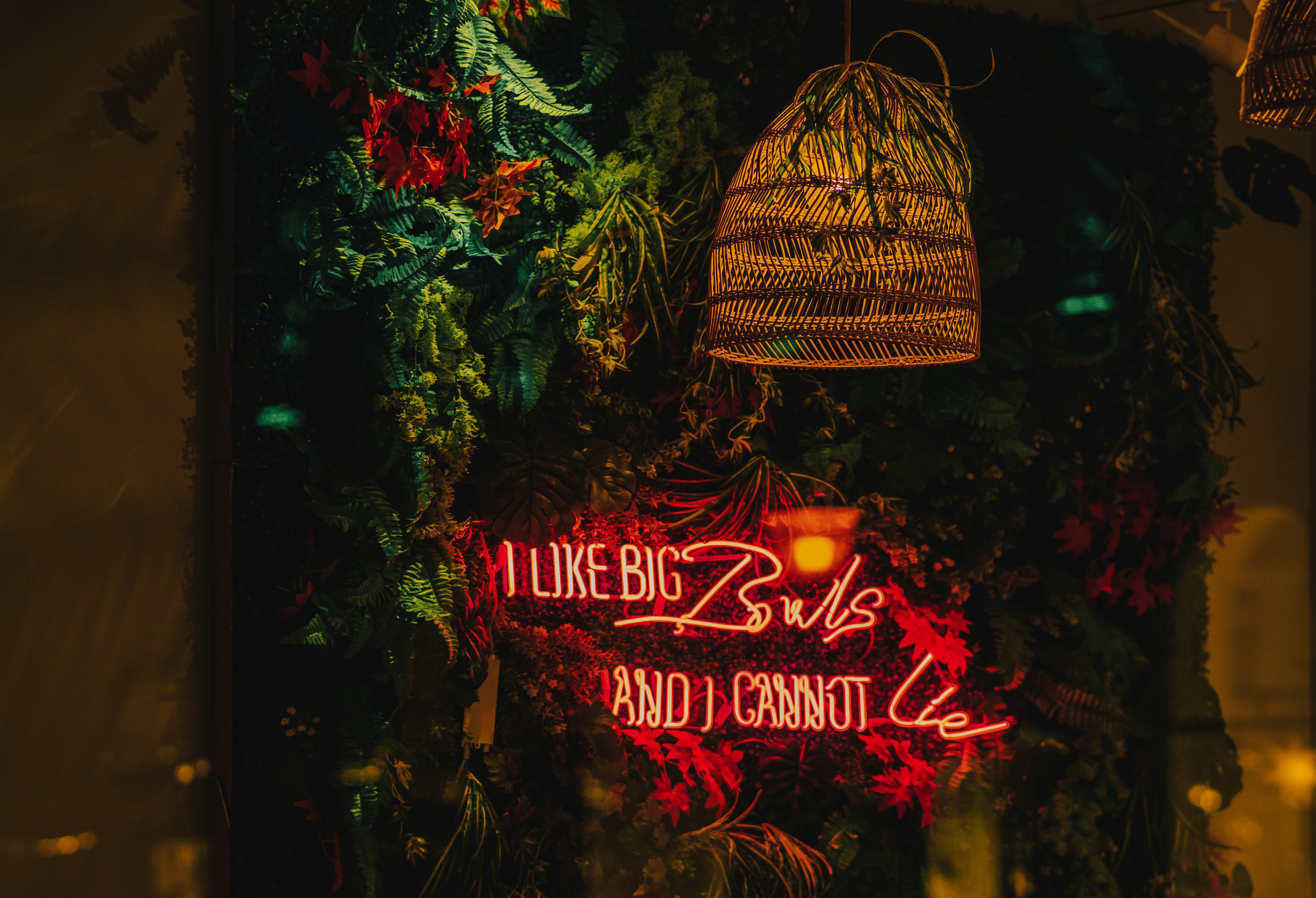 I Like Big Birds in a Neon Jungle Nook