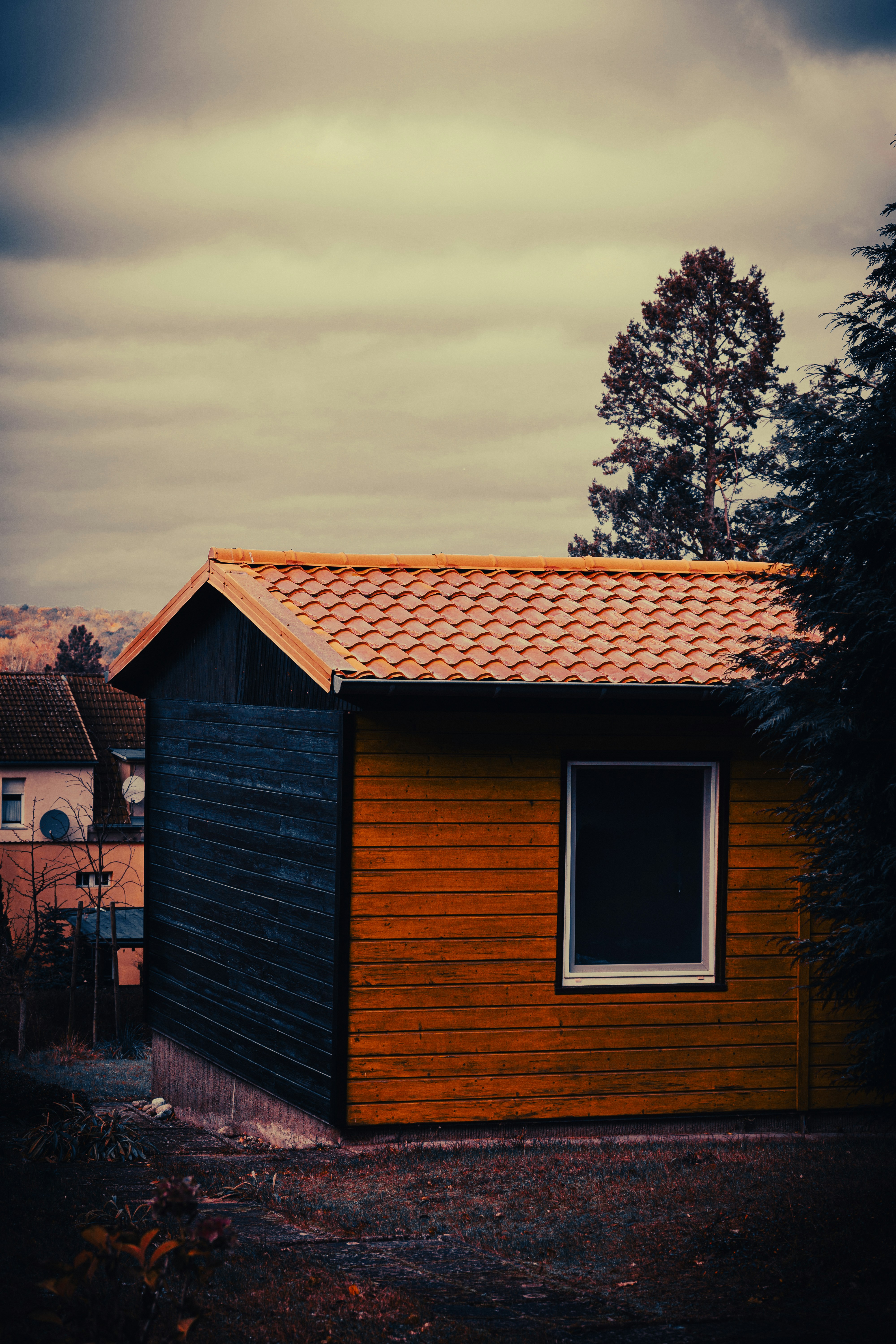 Golden Sided Shed under a Quiet Evening Sky