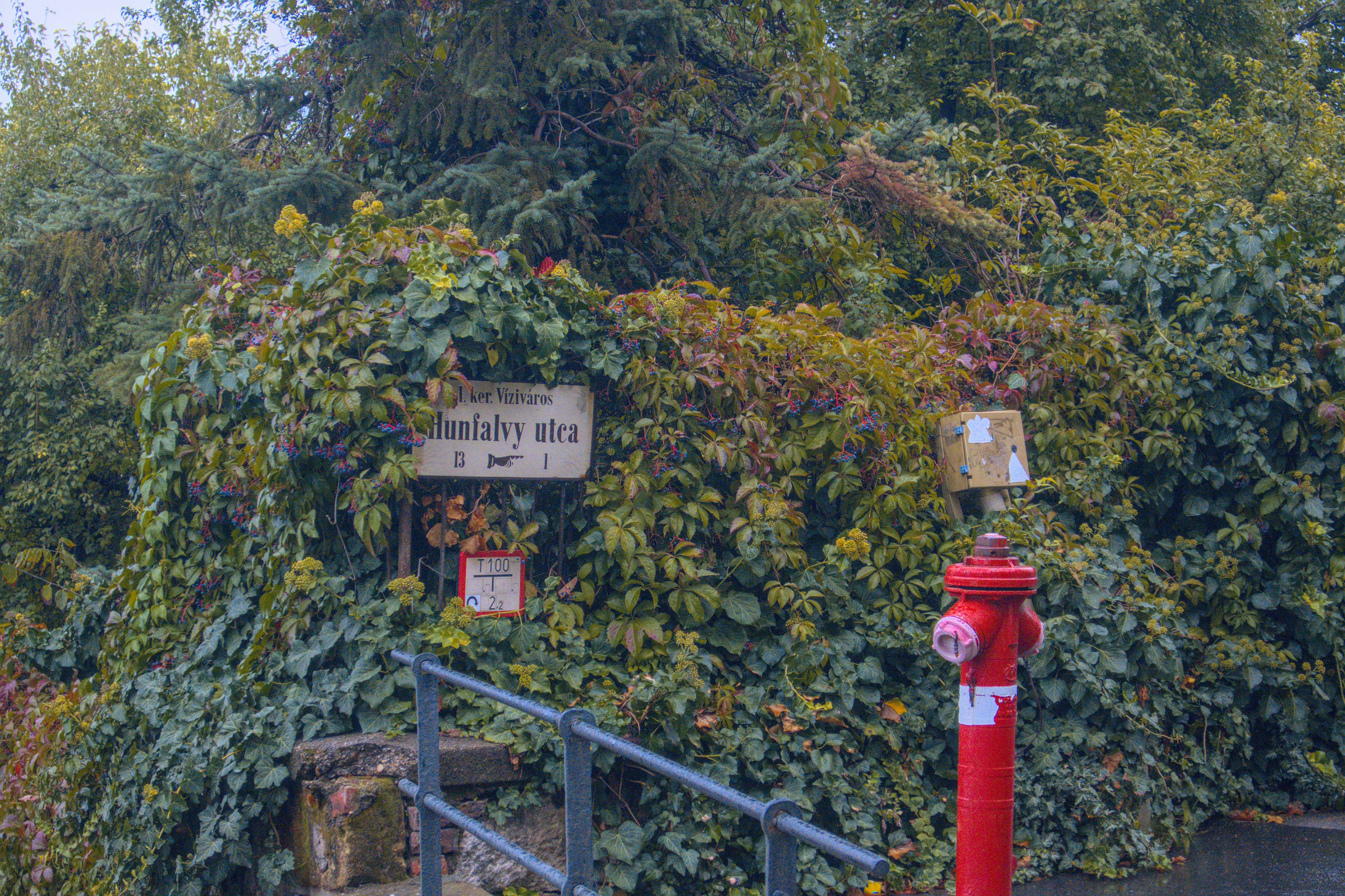 Photo by Darya Karaliova with Canon PowerShot G9 X Mark II