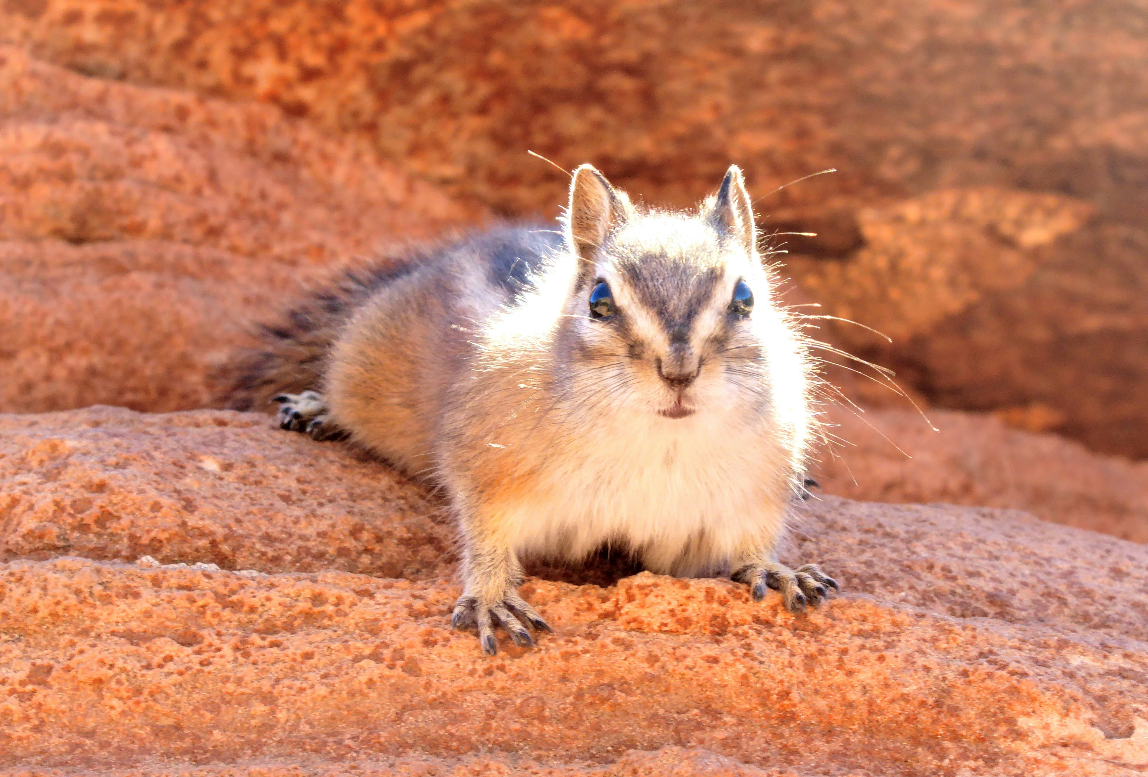 Sample photo from Panasonic Lumix ZS50