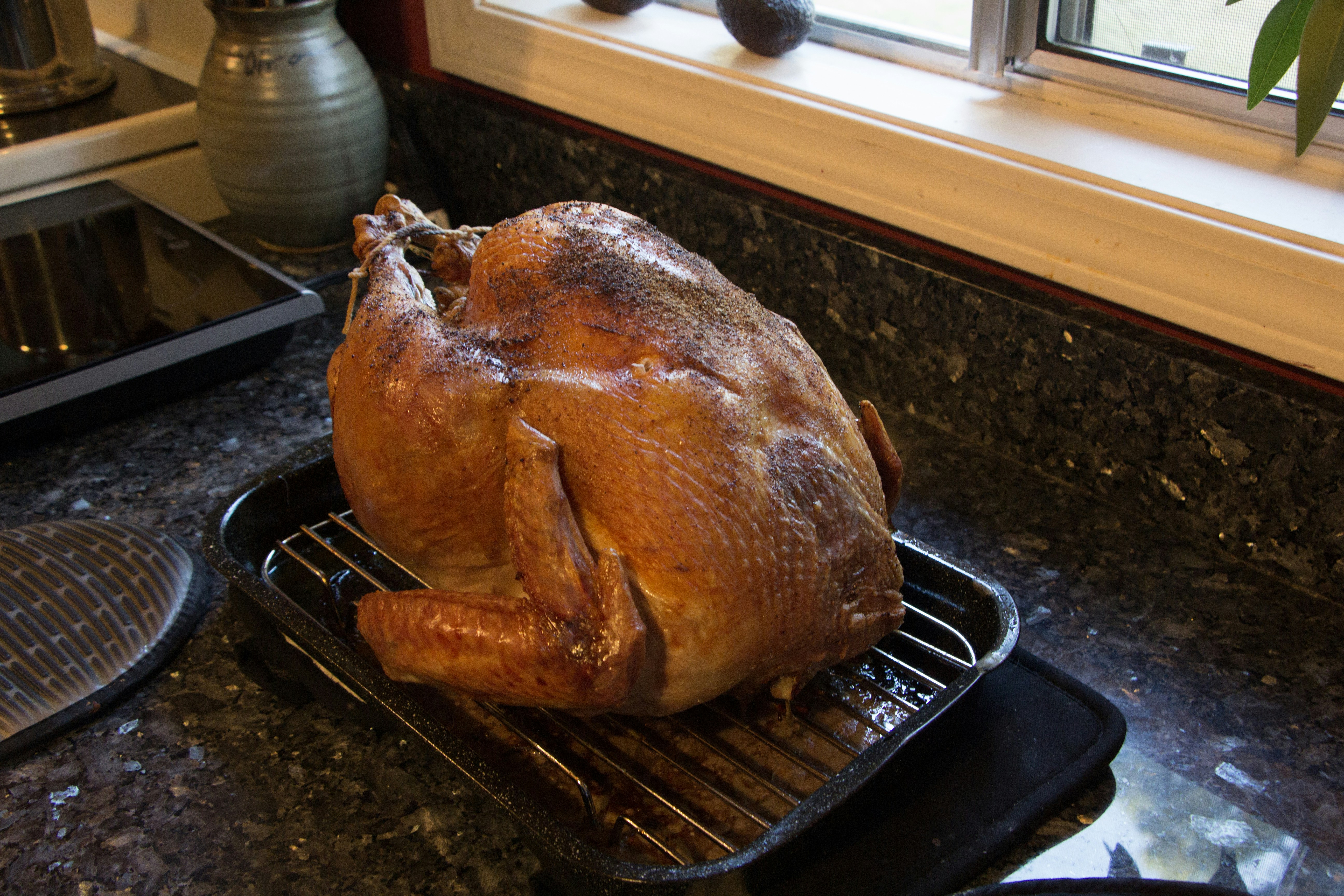 A turkey sitting on a rack in a kitchen photo – Free Food Image on Unsplash