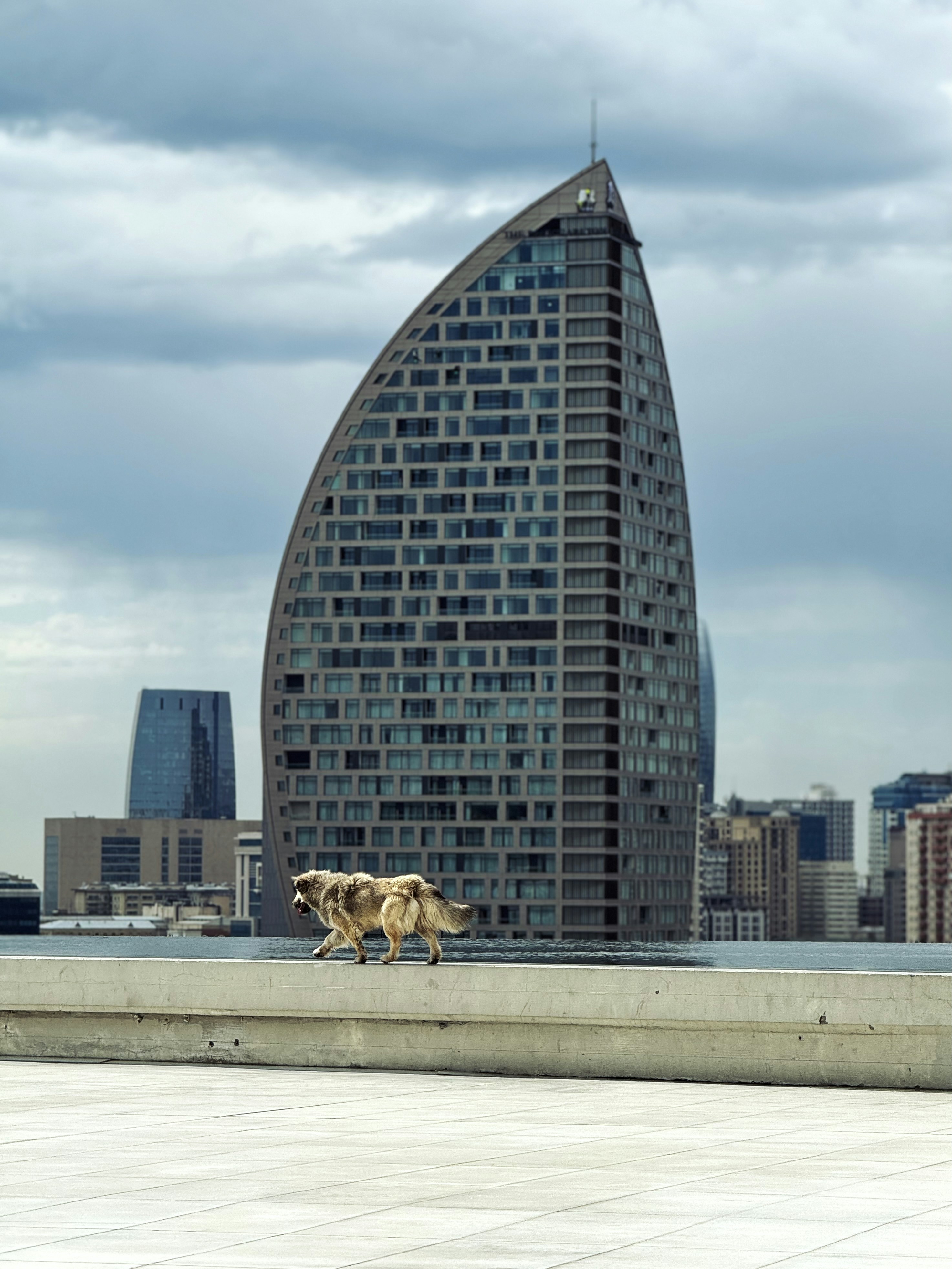 Rooftop Stroll Against a Sail-shaped Skyline