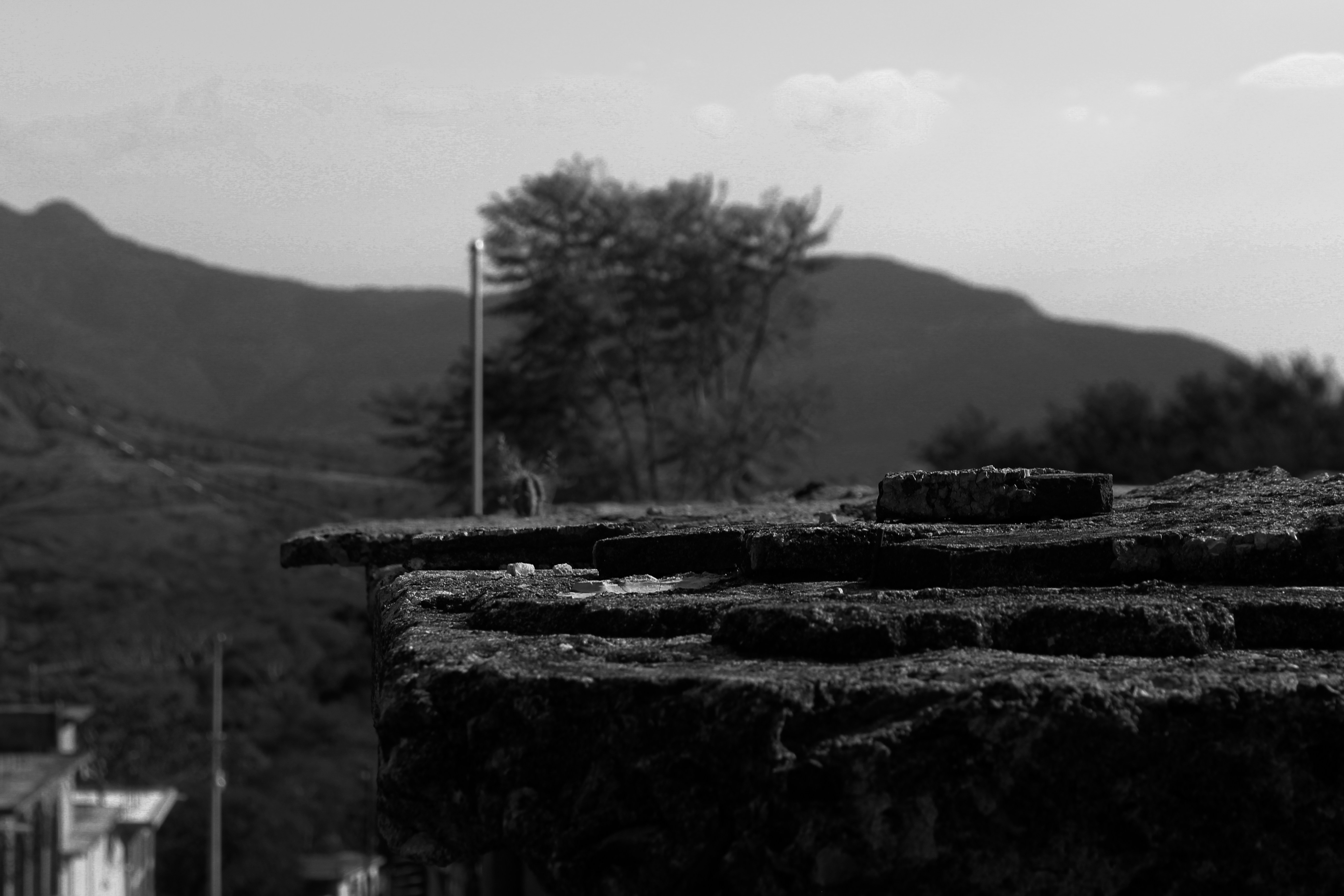 Thalittlemarc. CMG Pictures.