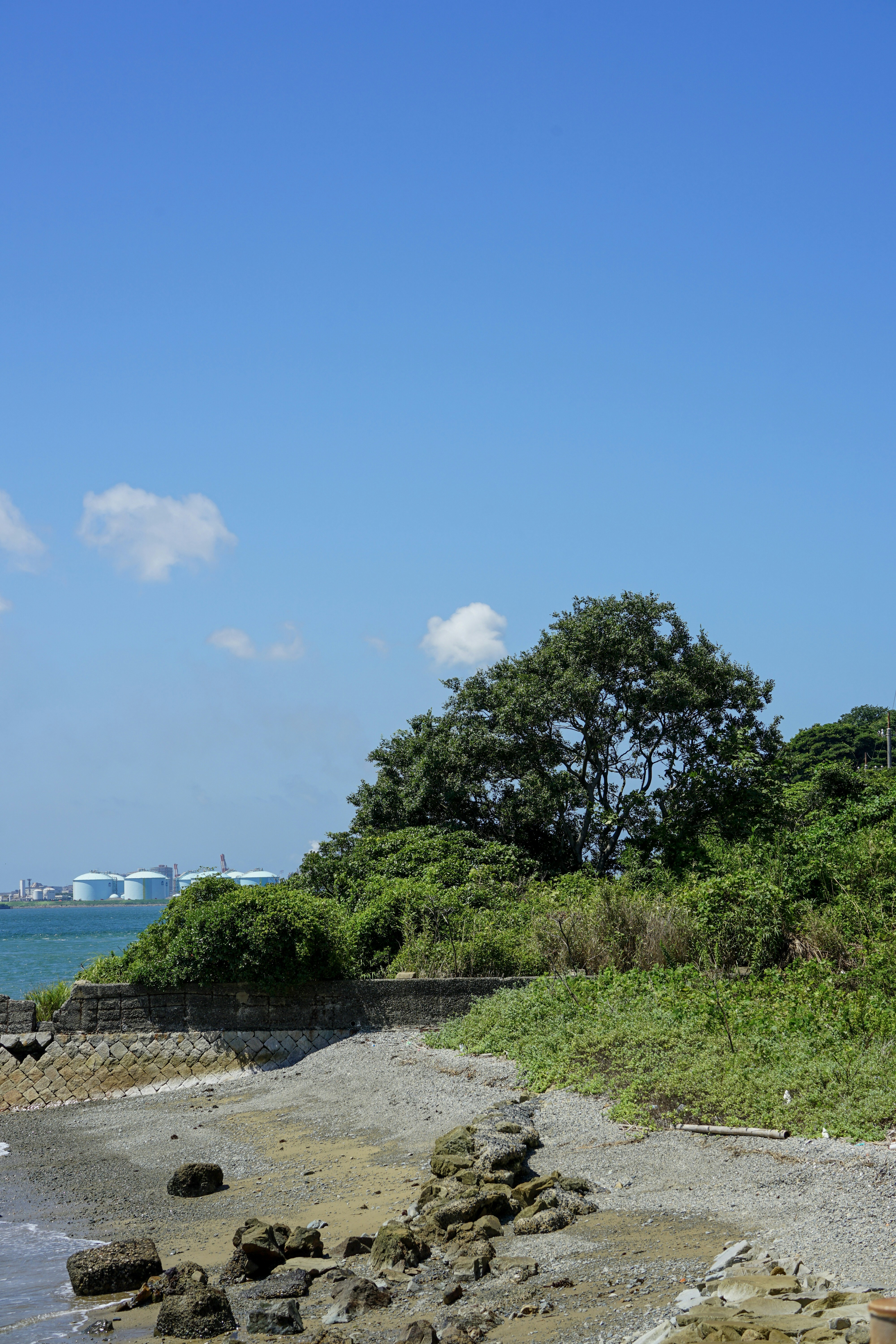 Verdant Shoreline Framed by a Quiet Sea Under a Crystal Blue Sky