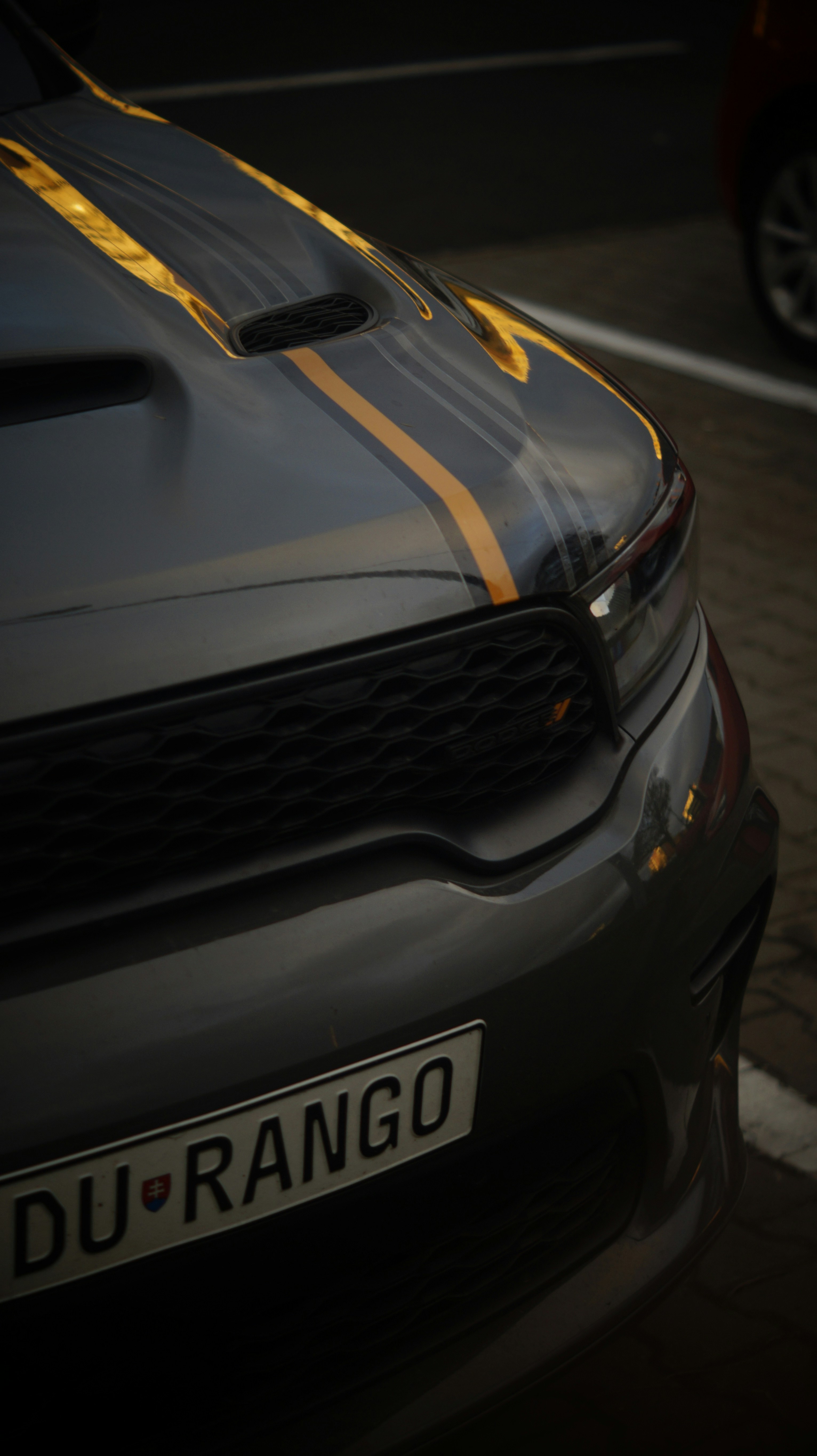 Hood Echoes: The Golden Racing Stripe Framing a Dark, Reflective Grille