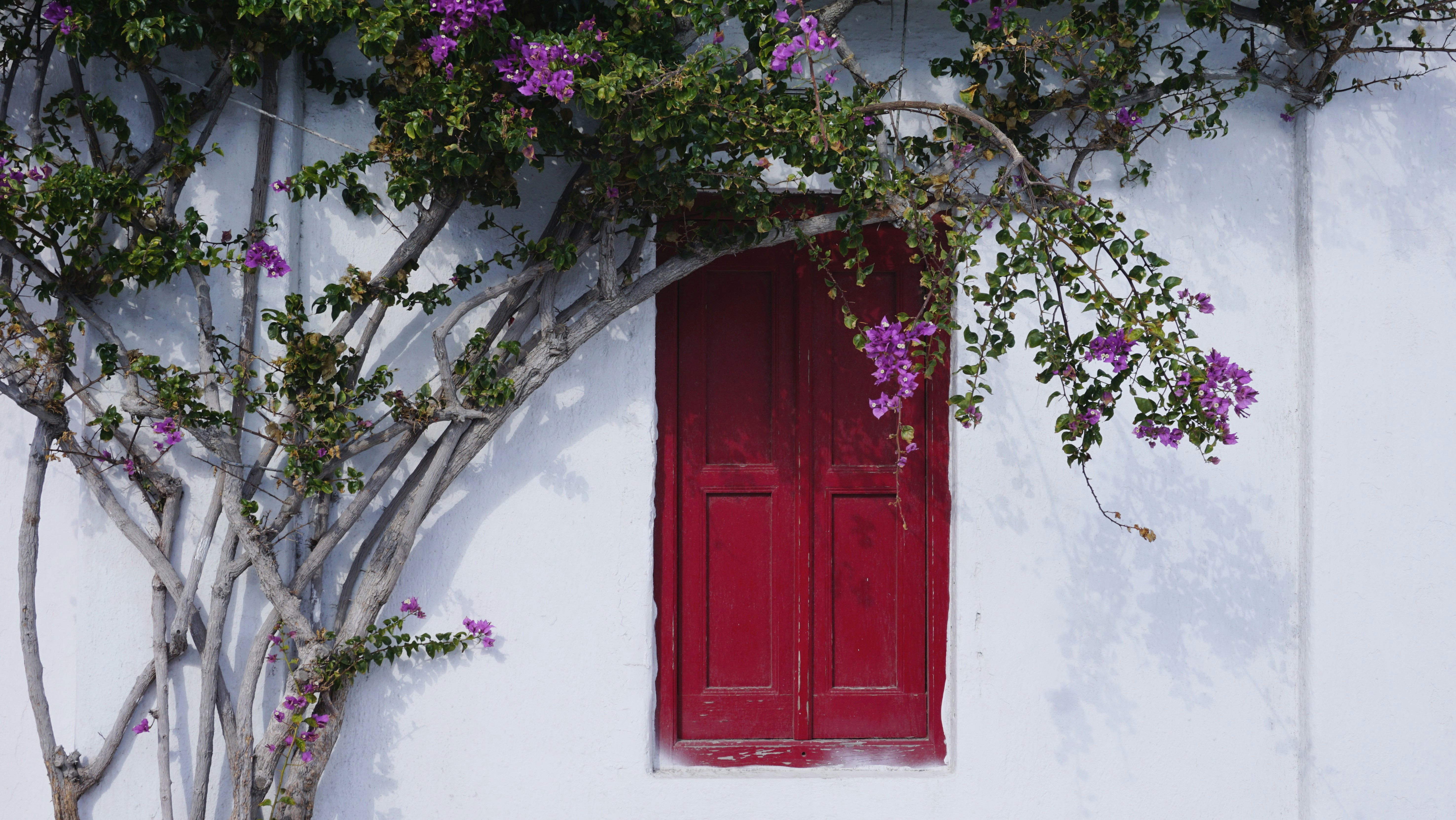 A white building with a red door and window photo – Free Window Image ...