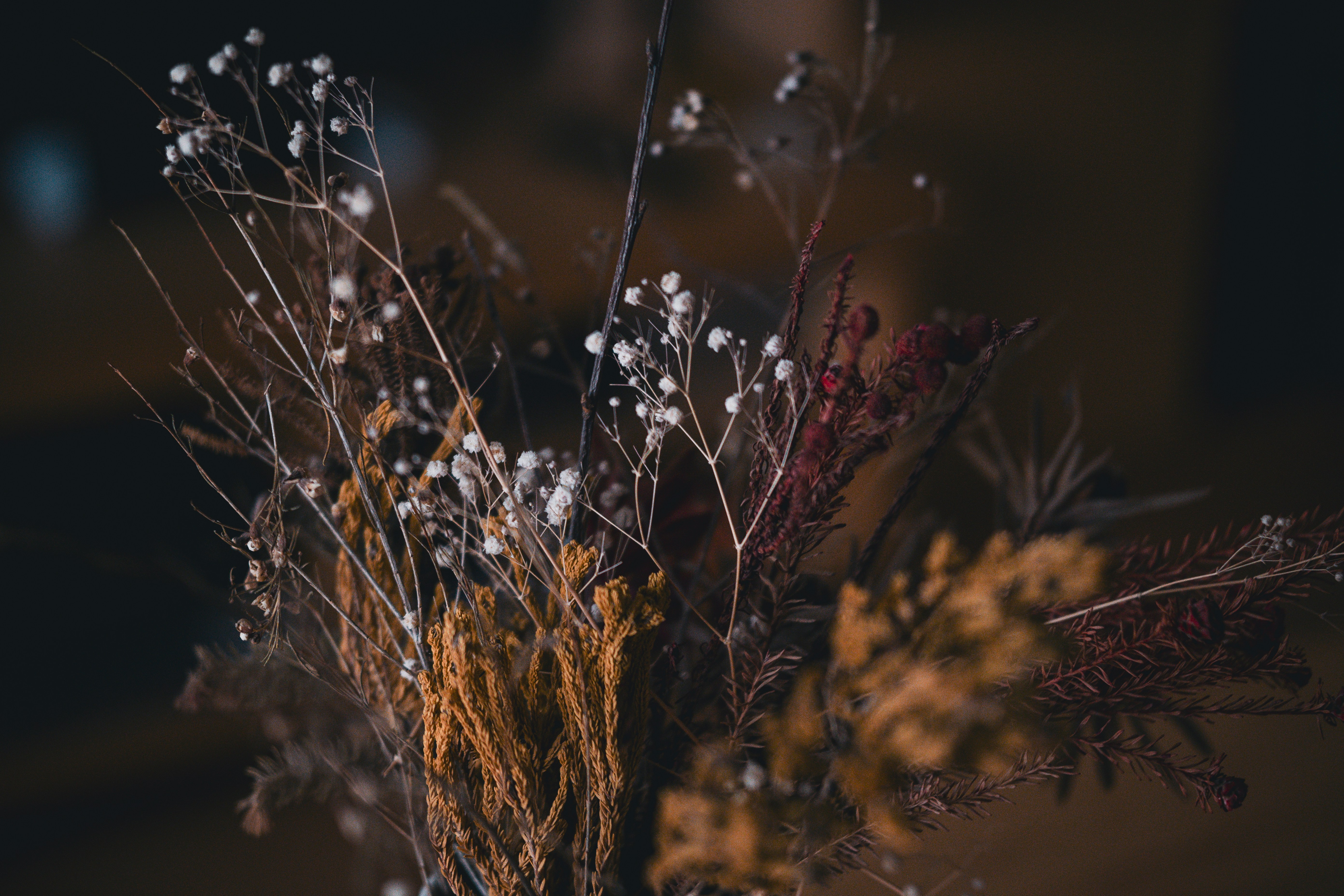 Delicate dried florals in earthy tones with a blurred background creating a serene atmosphere.