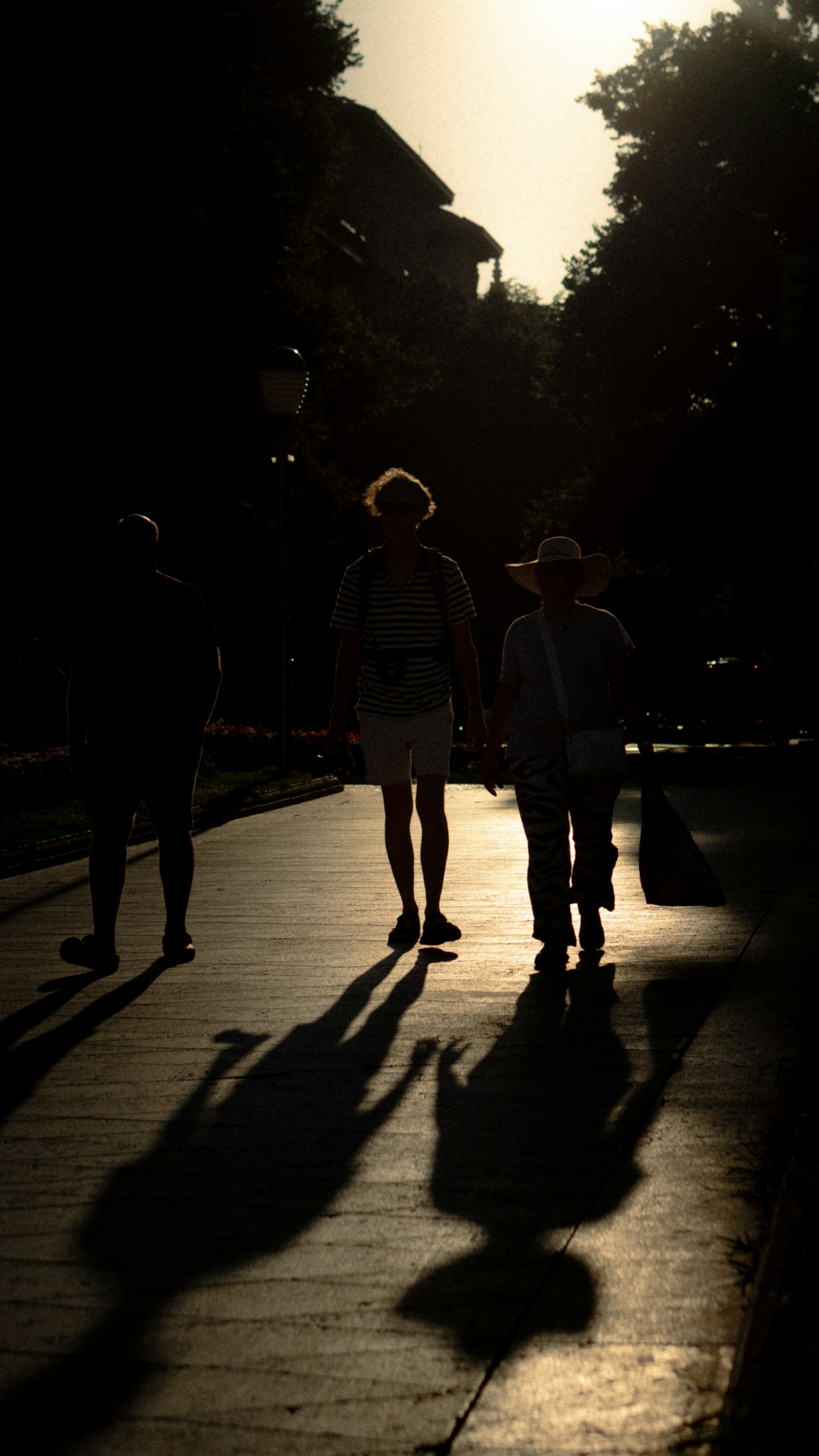 Trio in Backlight: Long Shadows on a Quiet Boulevard
