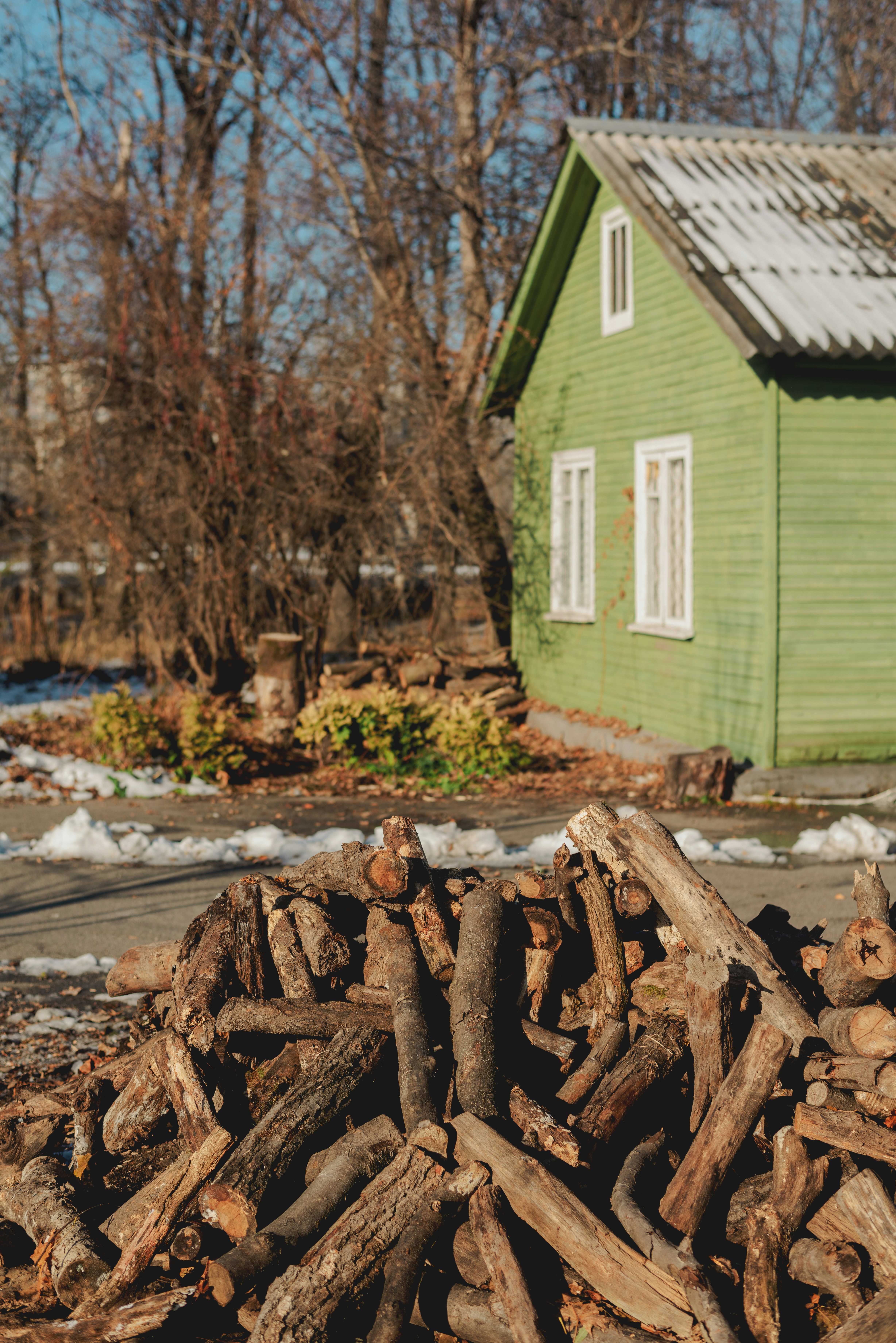 Green House by the Woodpile: Winter Light and Rustic Quiet