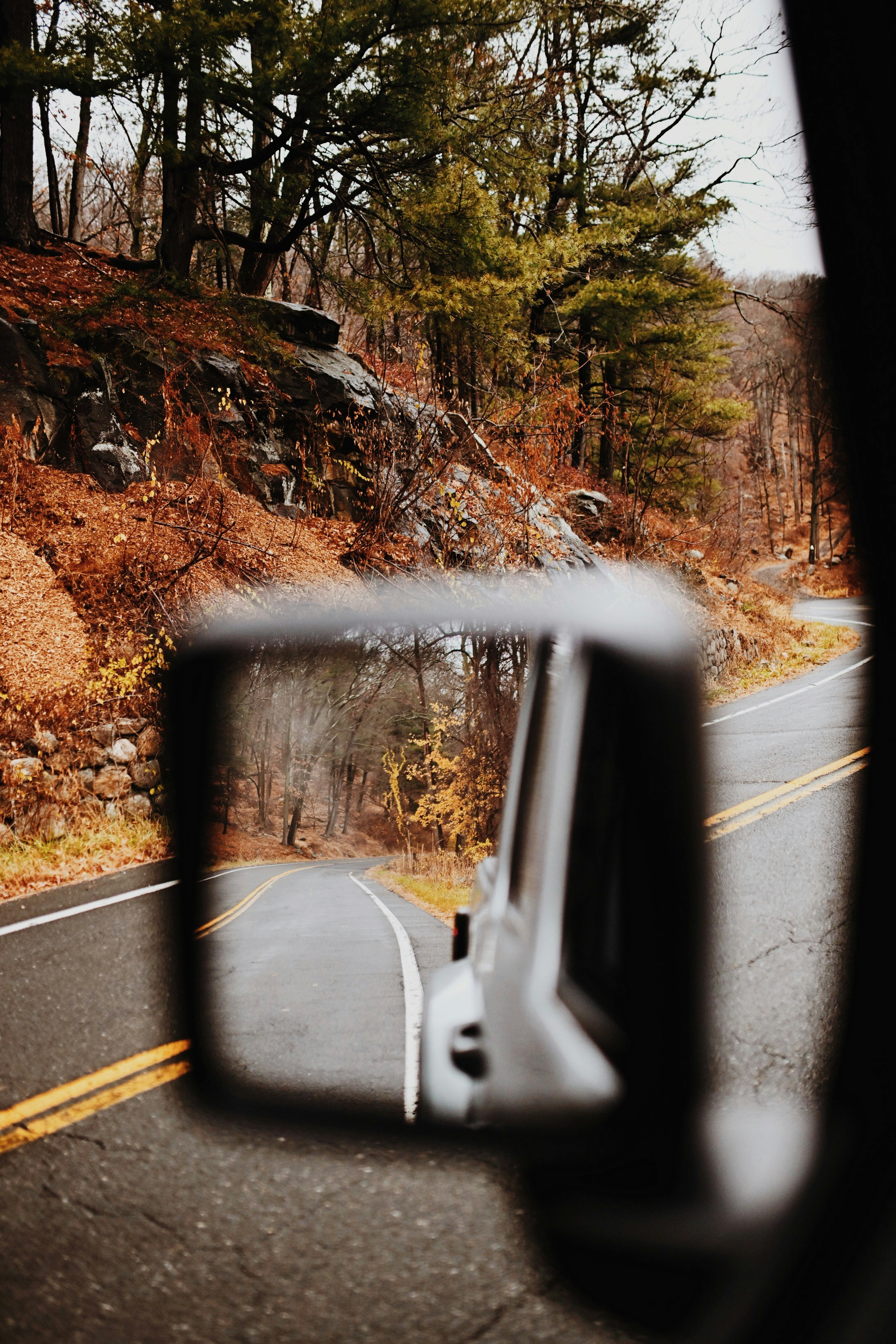 Rear-View Road: Autumn Bend Reflected in a Side Mirror