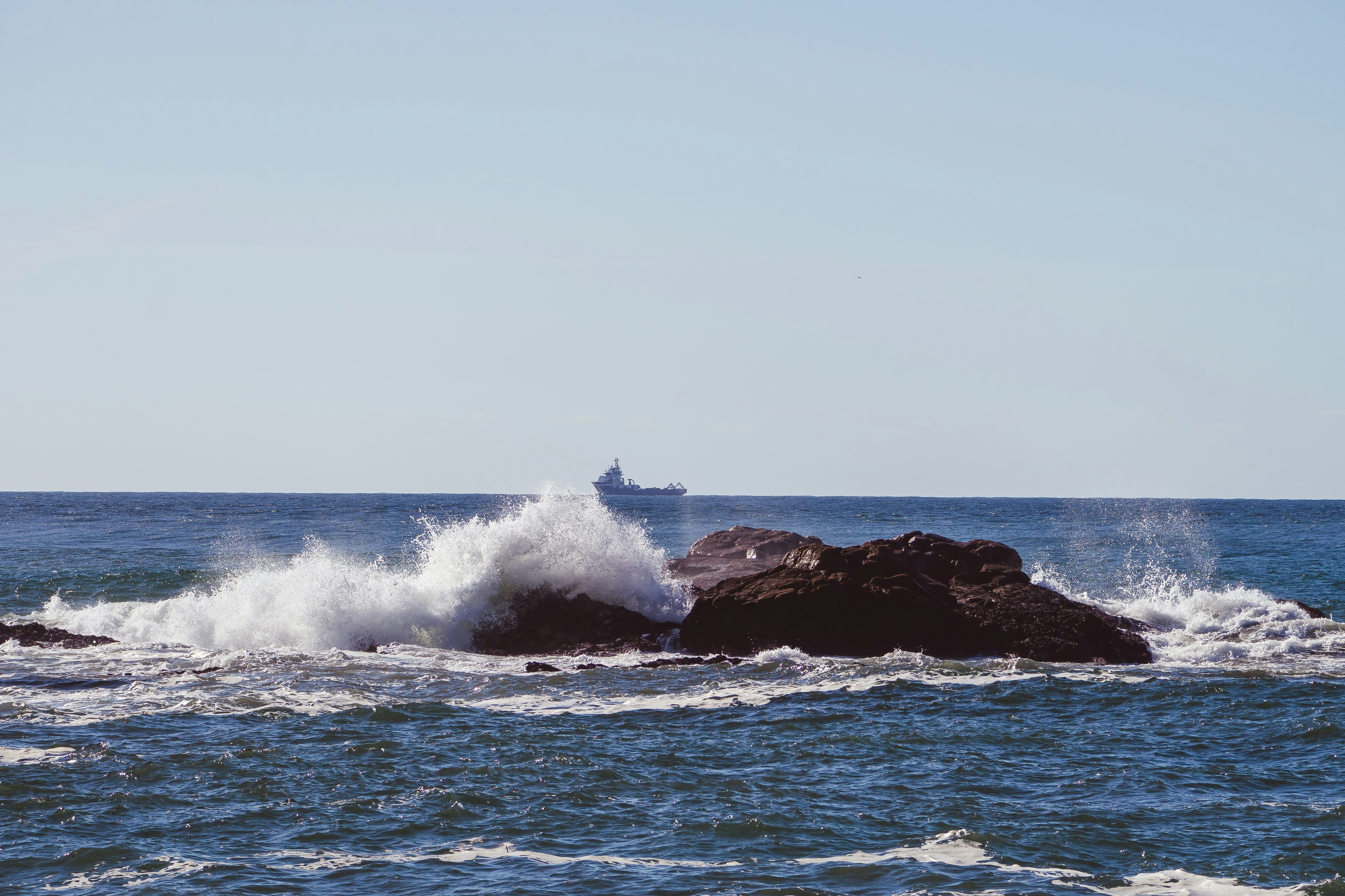 Photo by Pourya Gohari with Sony Alpha 7R V