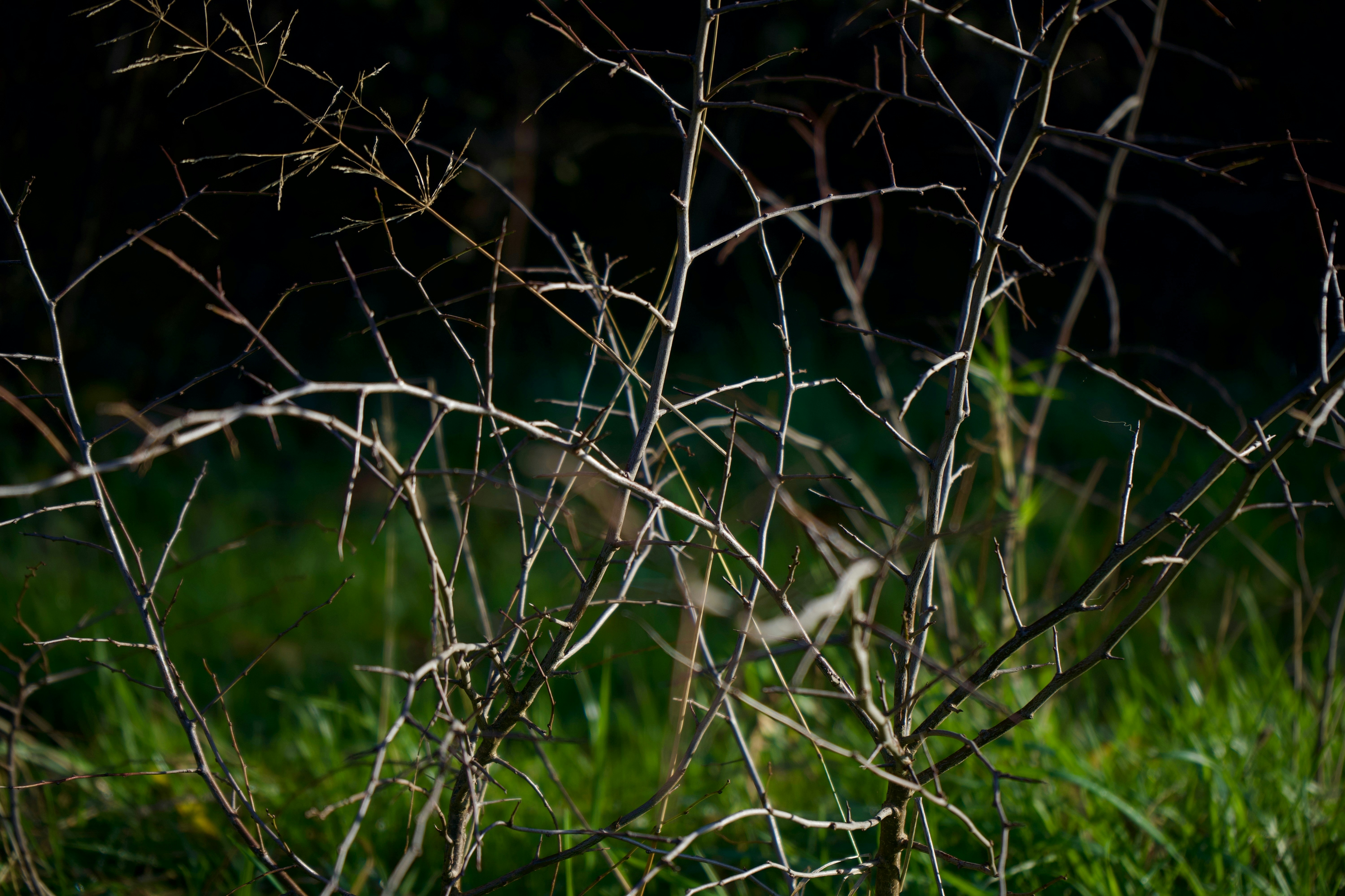 Maks Makarov (@just_maks) | Unsplash 사진 커뮤니티