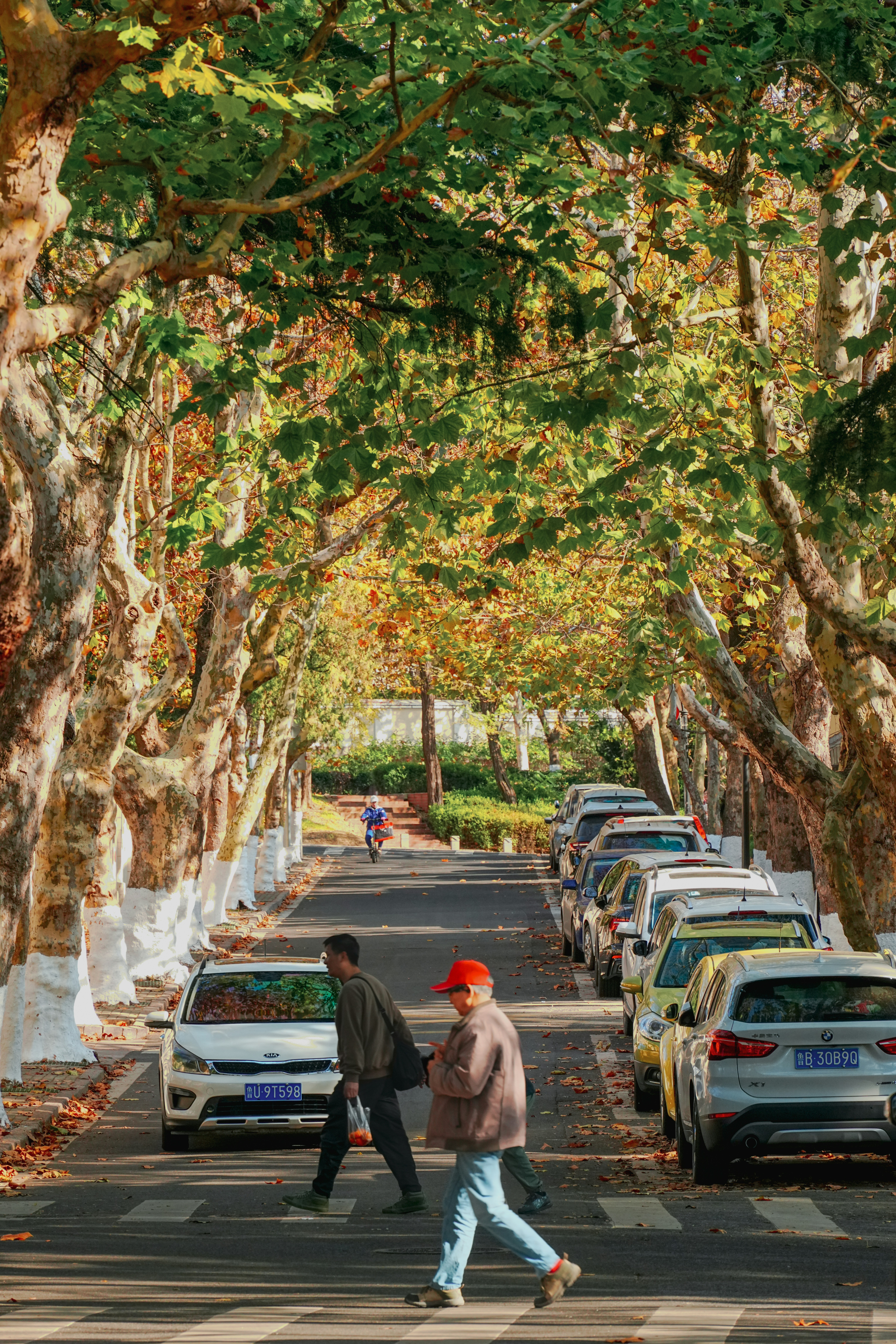 Amber Arches at Dusk: Pedestrians Cross a Tree-Lined Avenue
