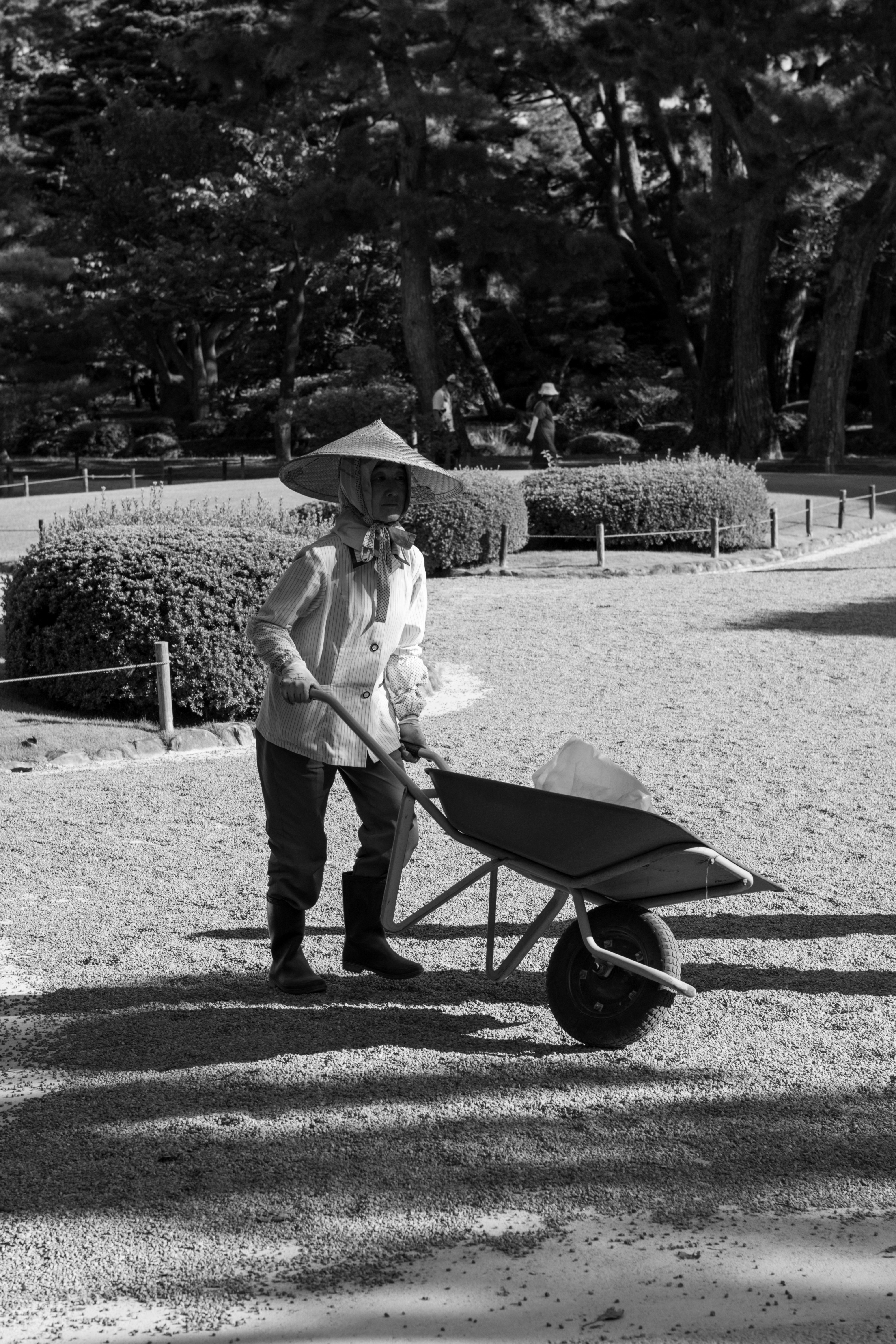 Conical-Hat Keeper Navigates a Wheelbarrow Through a Park Path