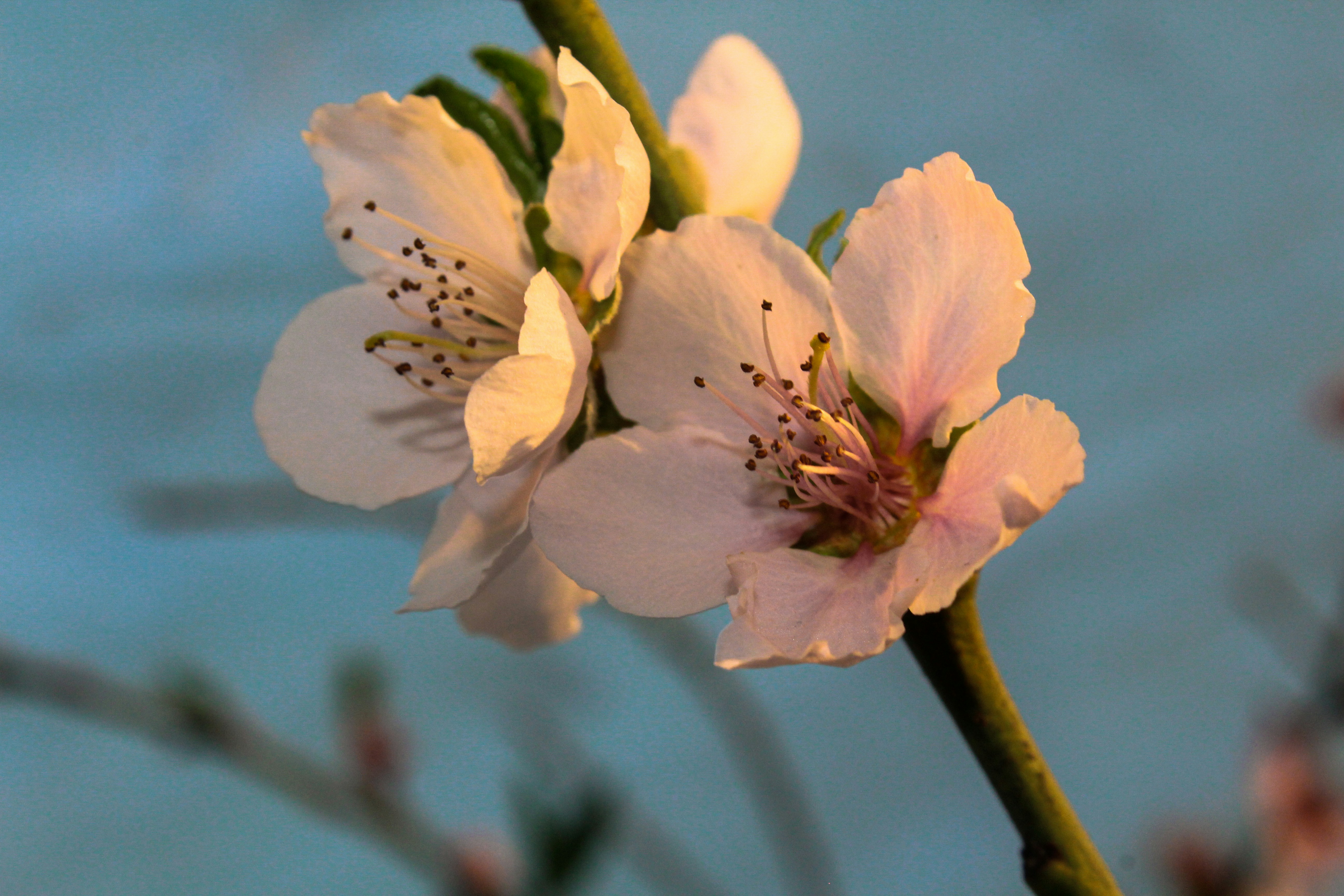 Thalittlemarc. CMG Pictures.