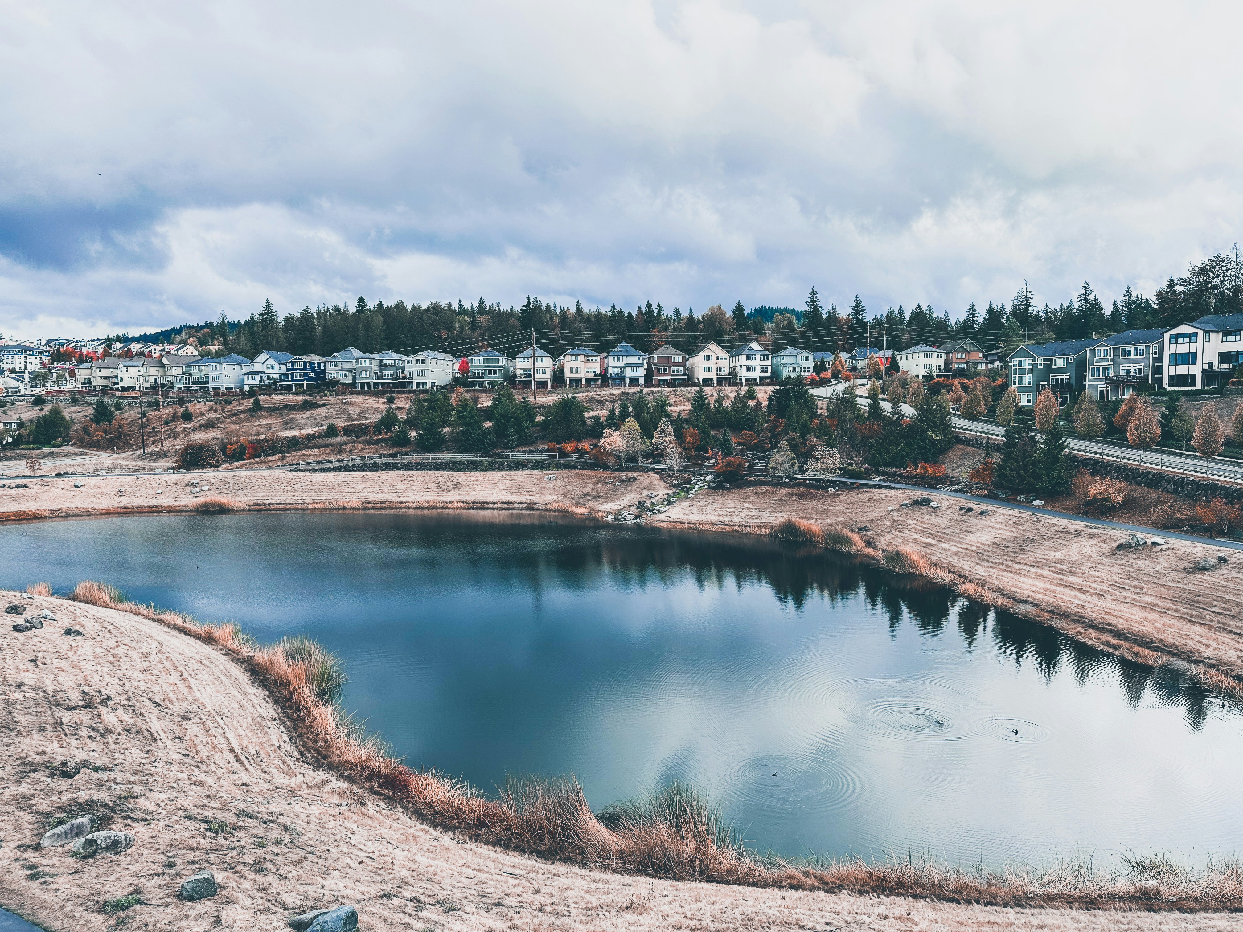 Horizon Echoes: Calm Lake Framed by Suburban Row