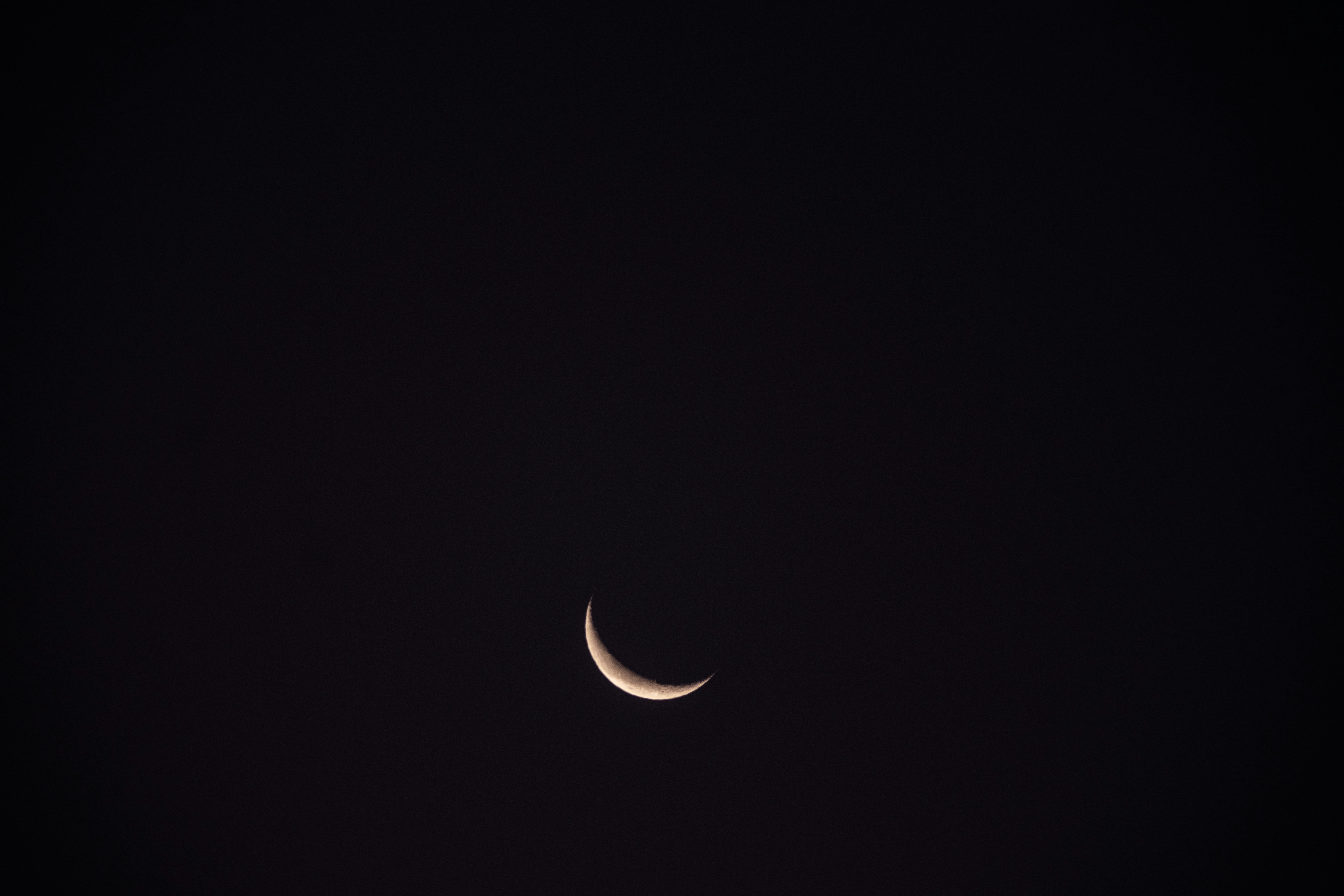 Whispers of the Crescent