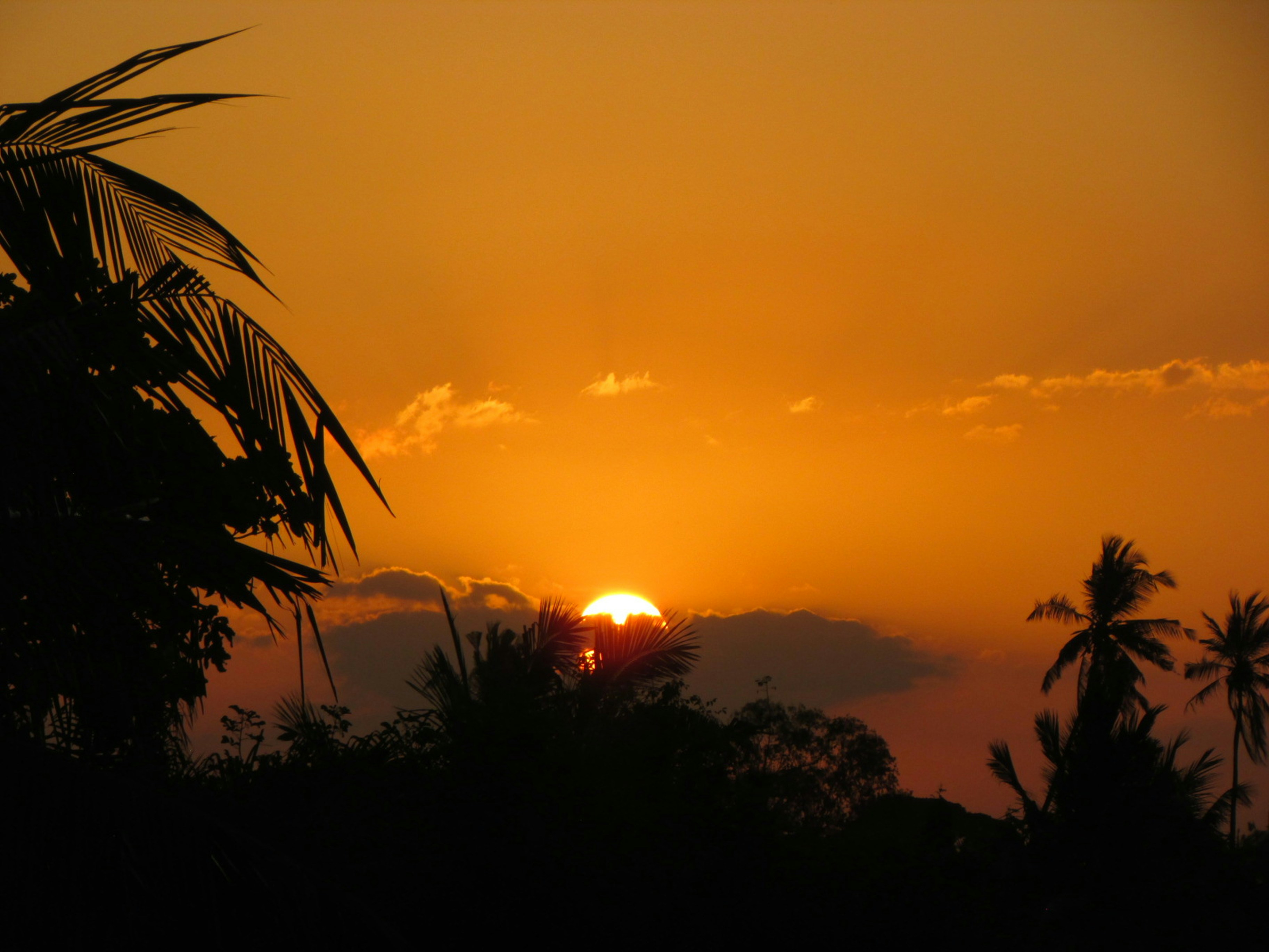 Photo by Belle with Canon PowerShot SX500 IS