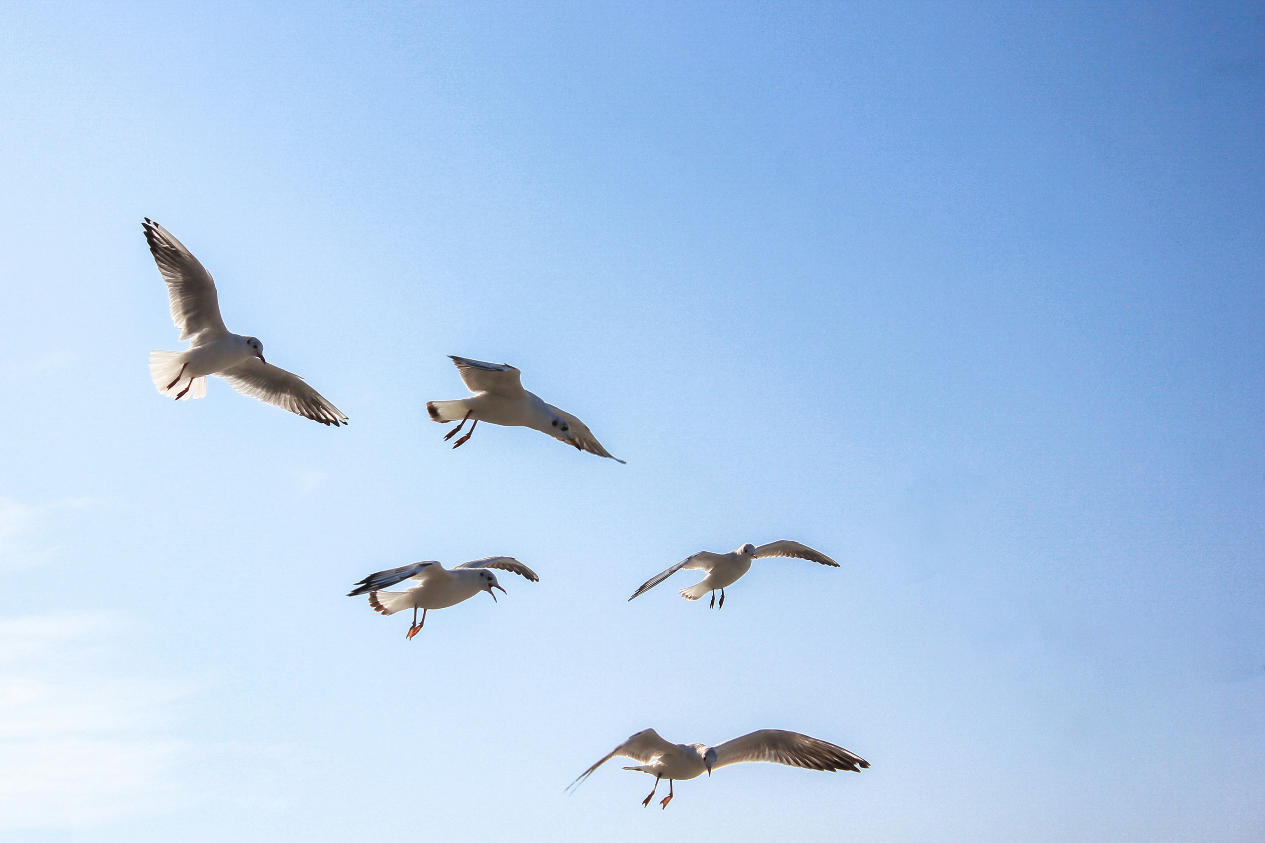 Photo by Olga Kutseva with Canon EOS 550D