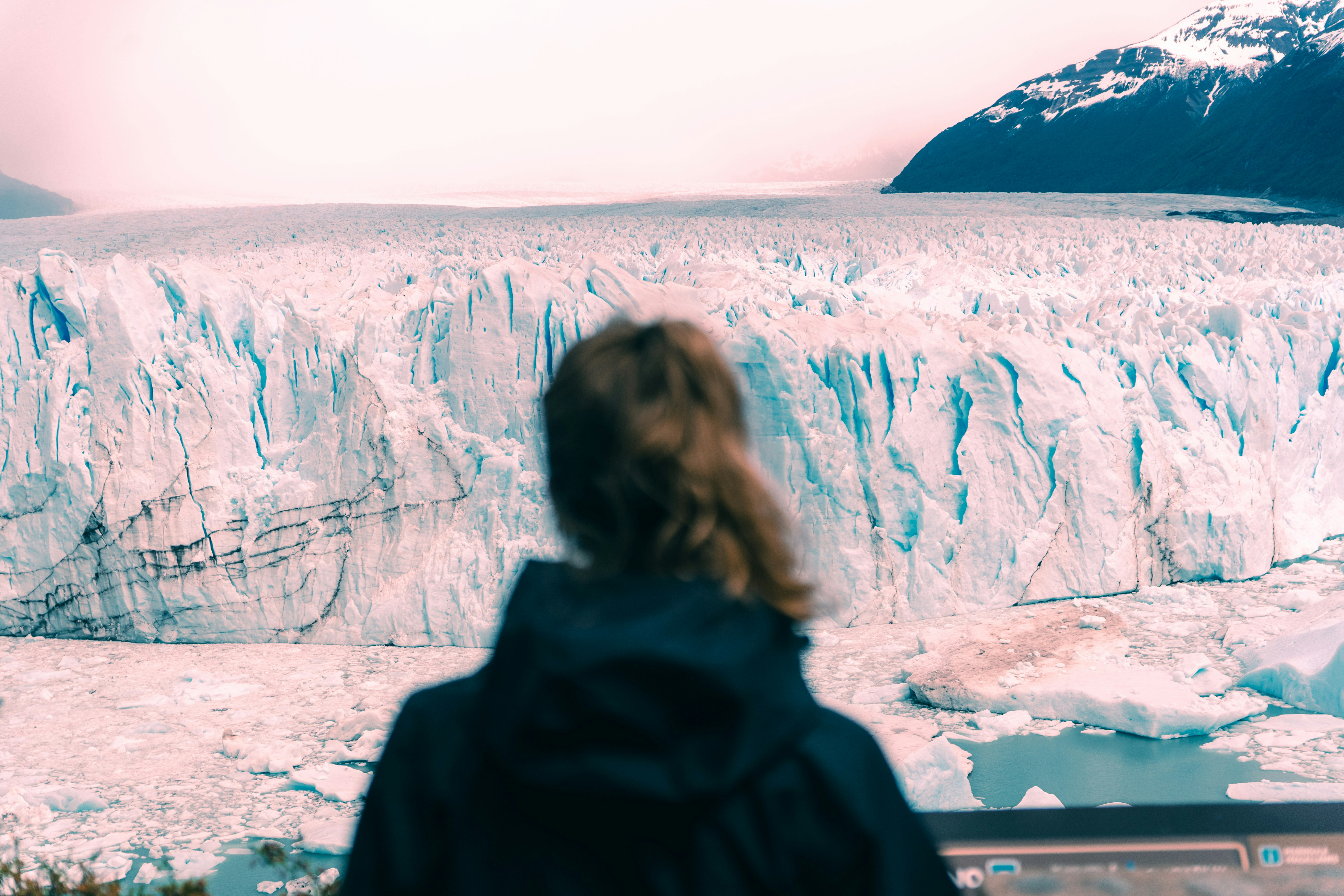 Contemplation at the Edge of Ice