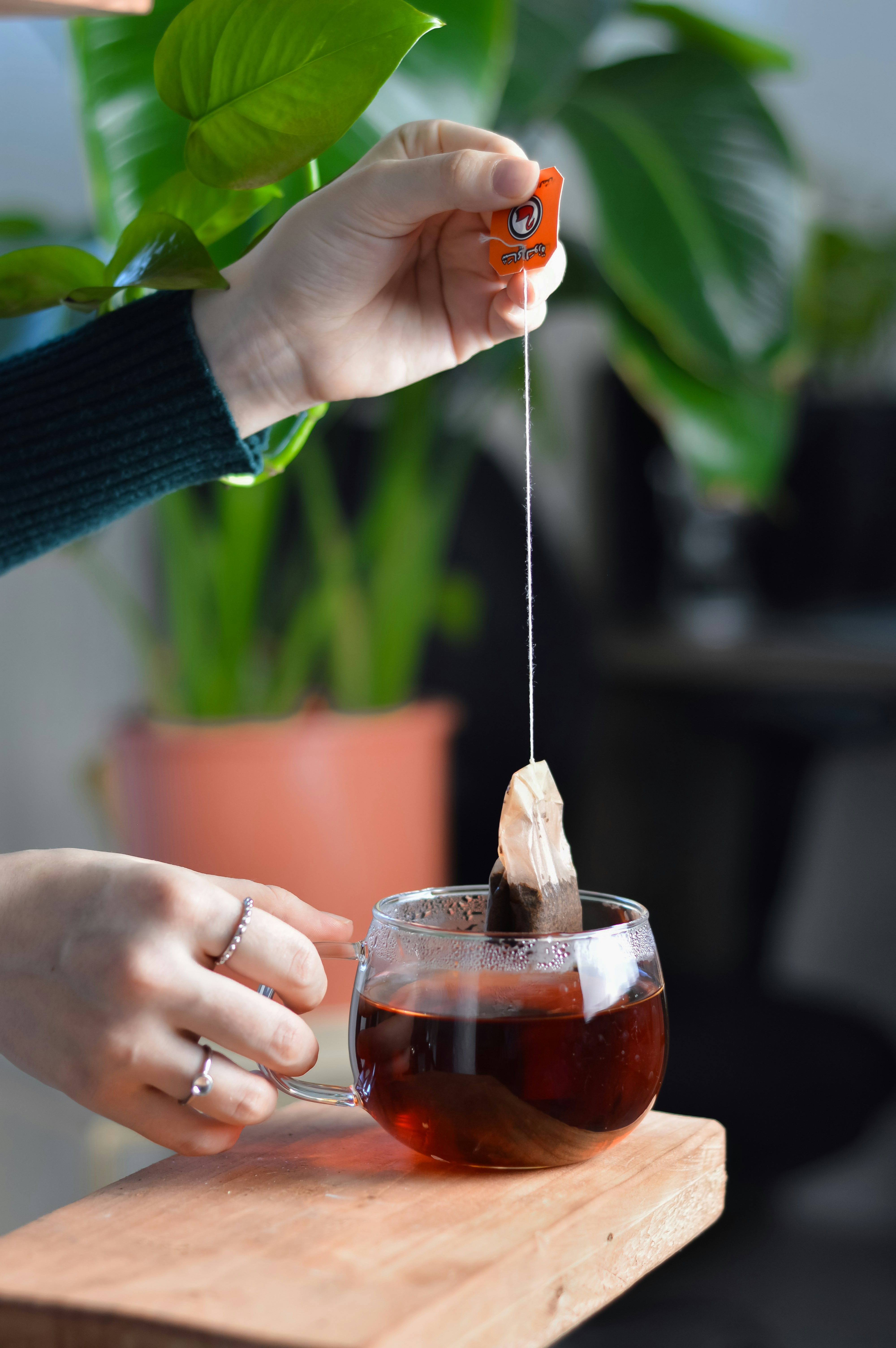 Tea Trip: A hand-drawn tea ritual with a hanging tea bag over a glass mug