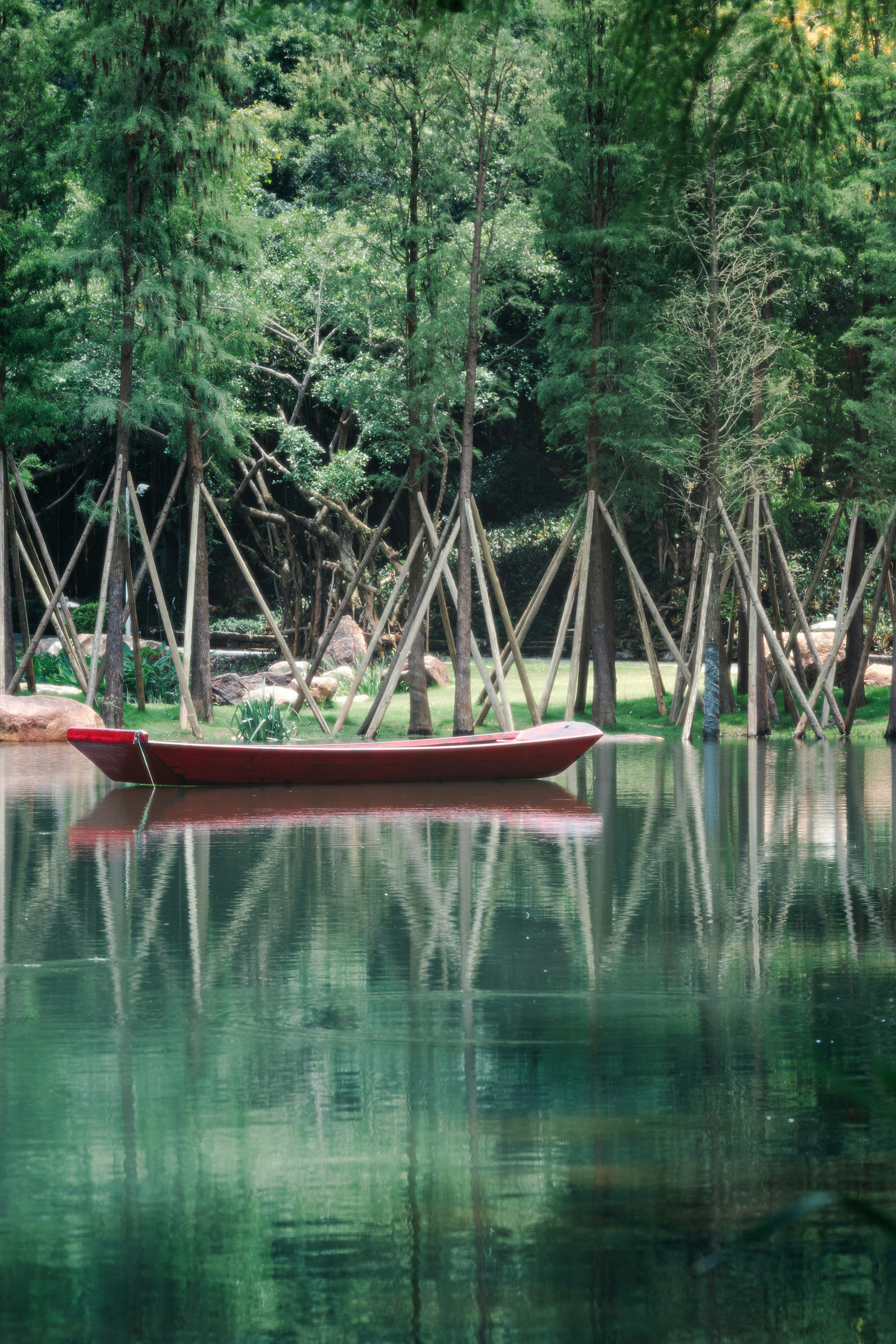 Photo by Mighty Commander with Nikon Z30