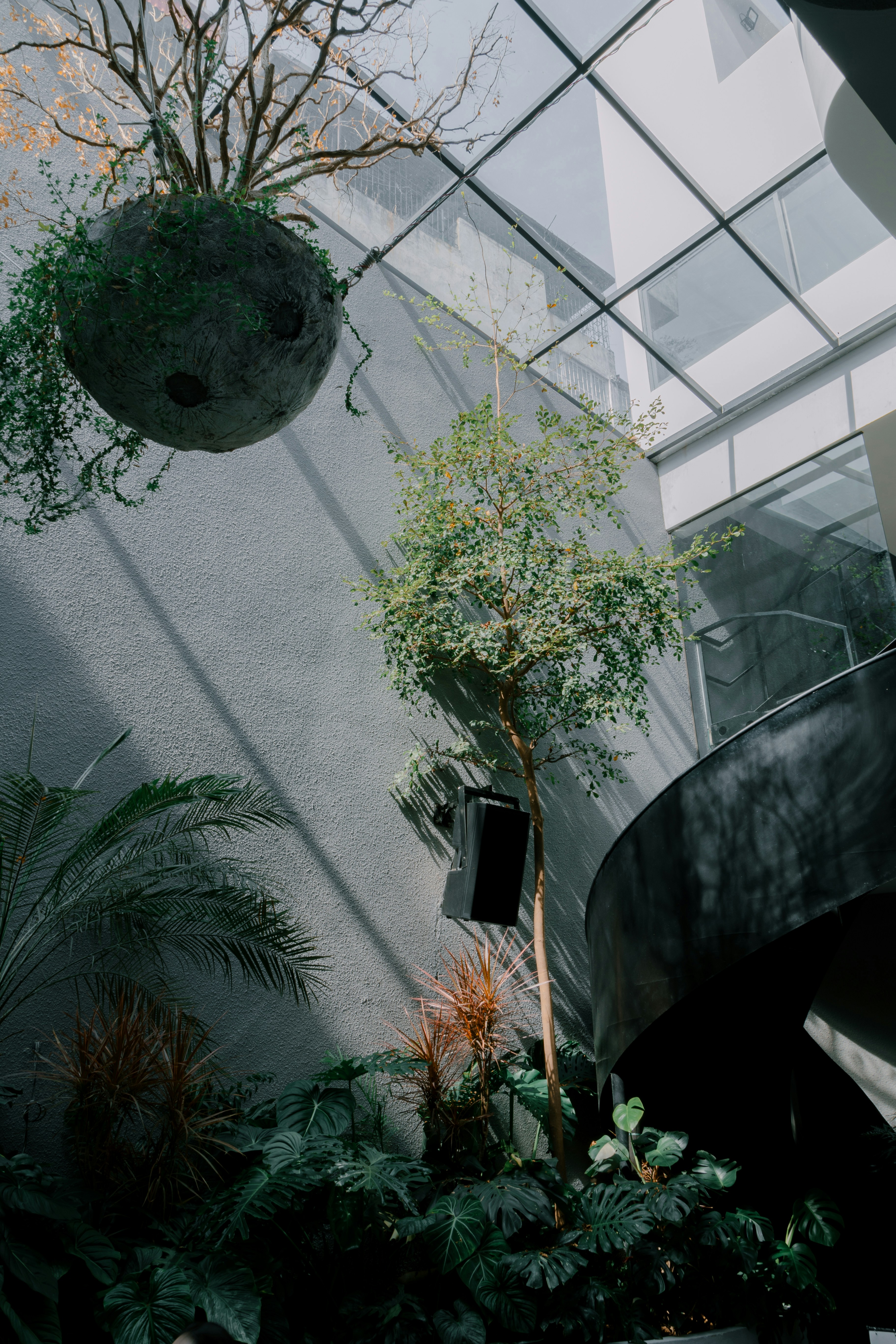 Indoor garden with lush green plants and a spherical hanging planter under a grid-patterned glass ceiling casting intricate shadows.
