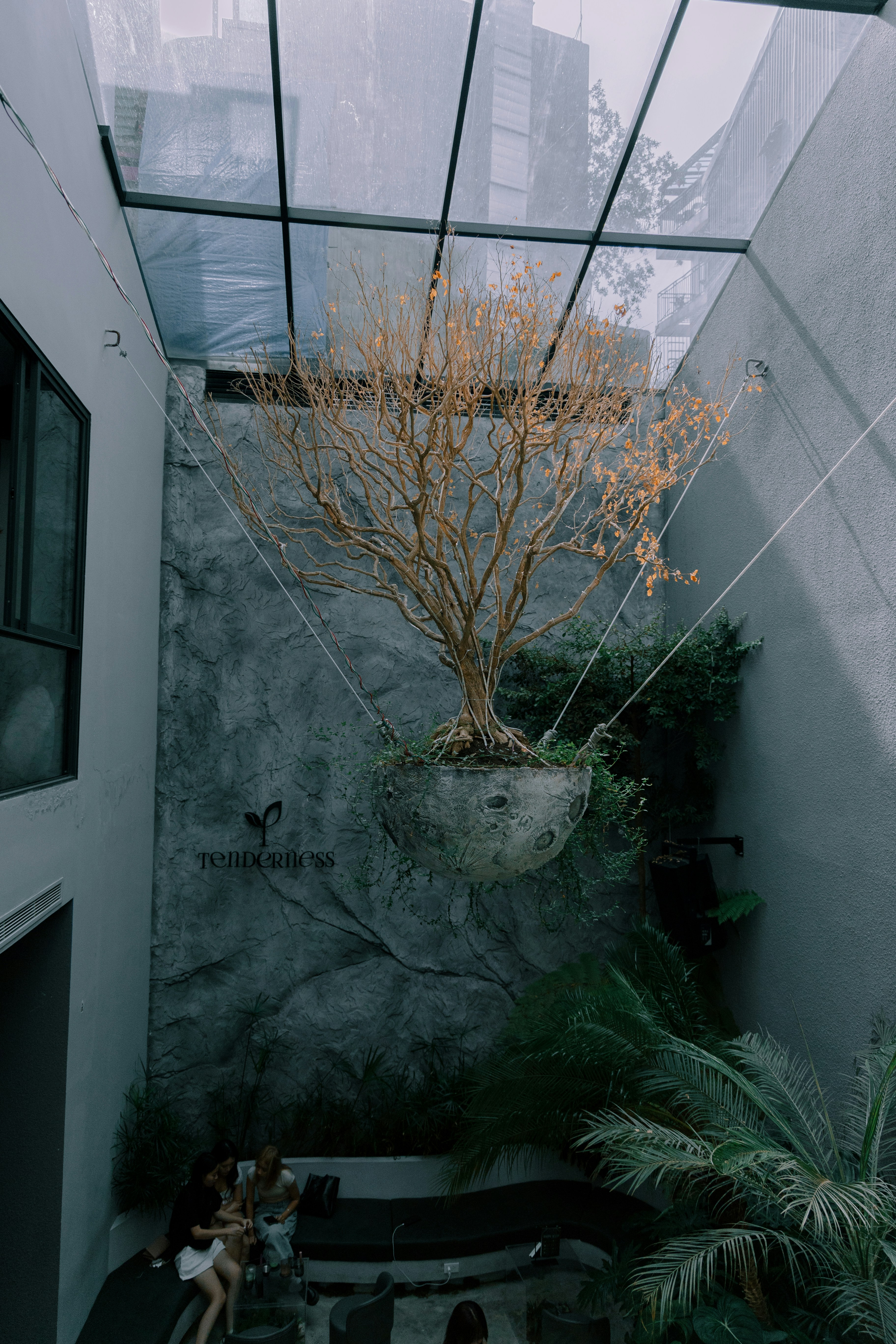 Suspended Arbor: A Centerpiece in a Glass Atrium
