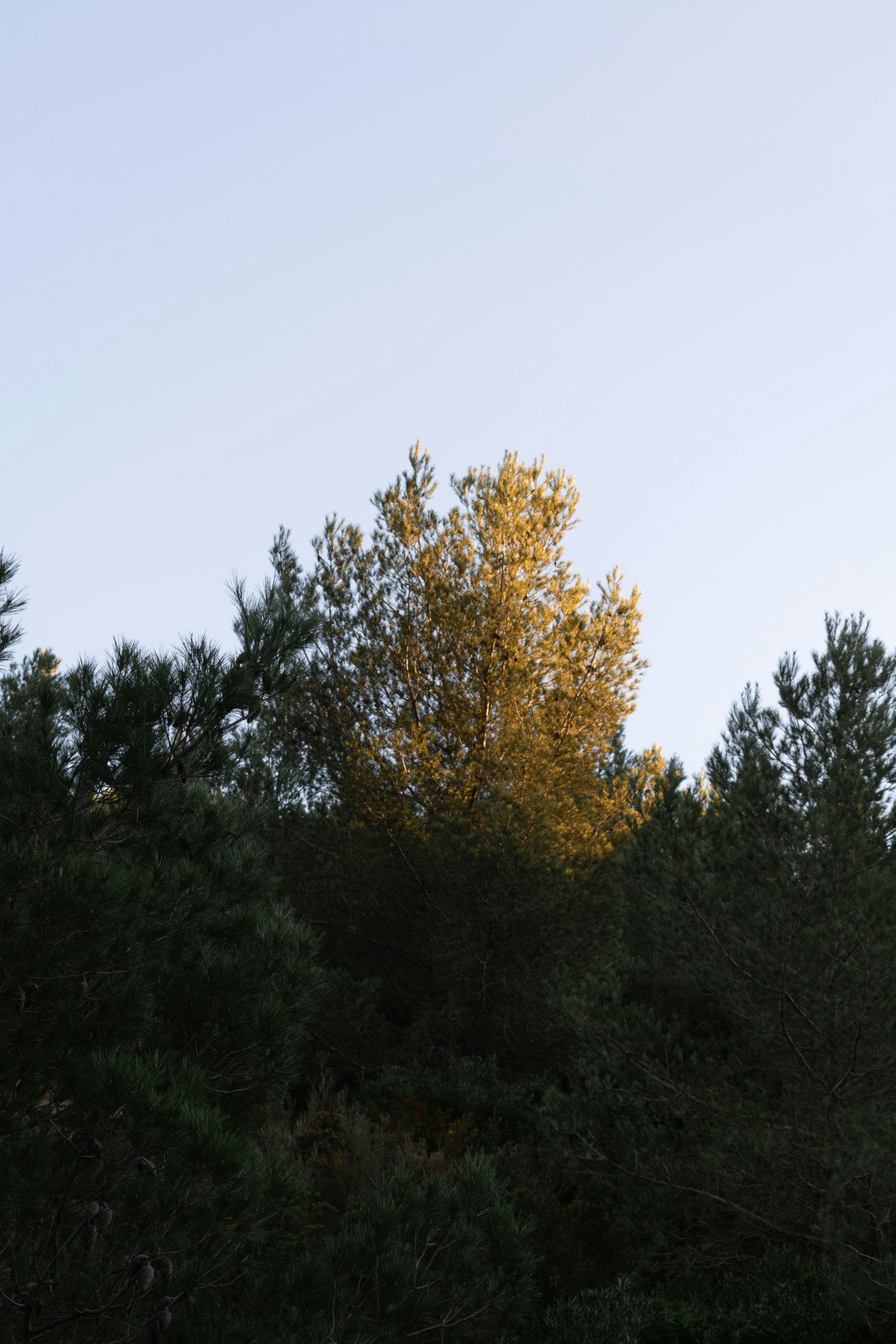 Photo by Clement Duf with Nikon D5300