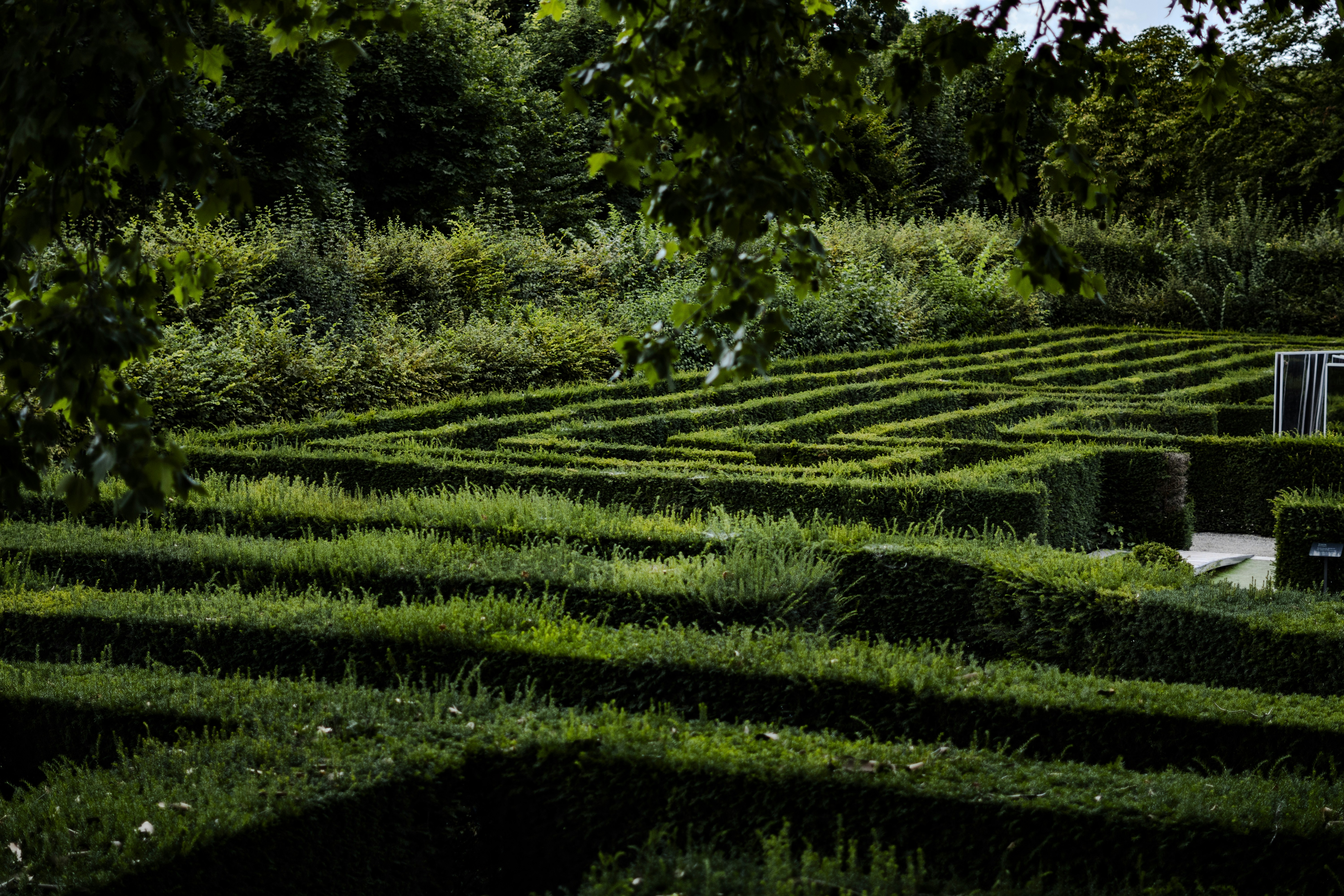 A large maze in the middle of a lush green park photo – Free Vienna ...