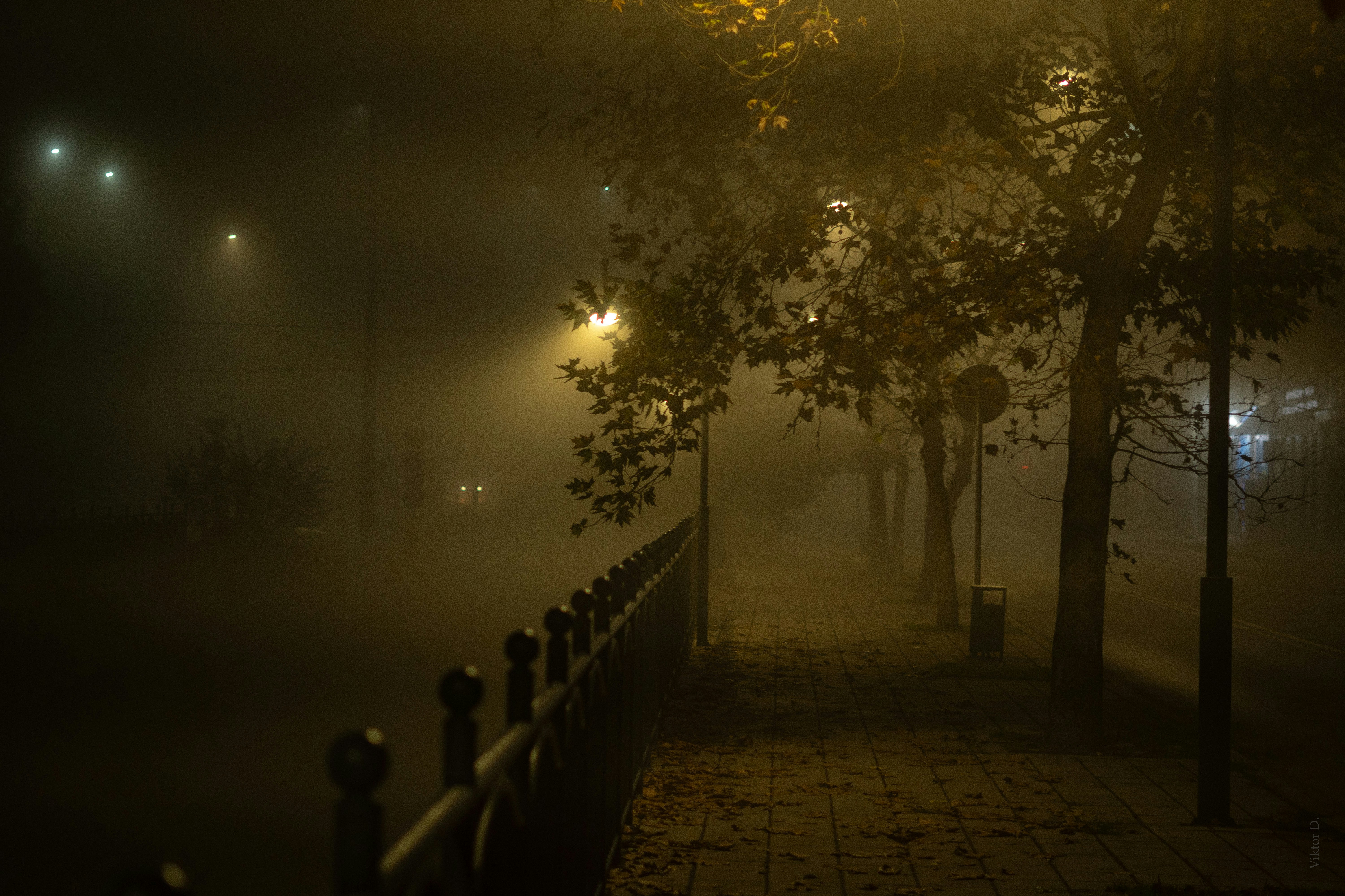 Photo by Viktor Danov with Sony Alpha 6400