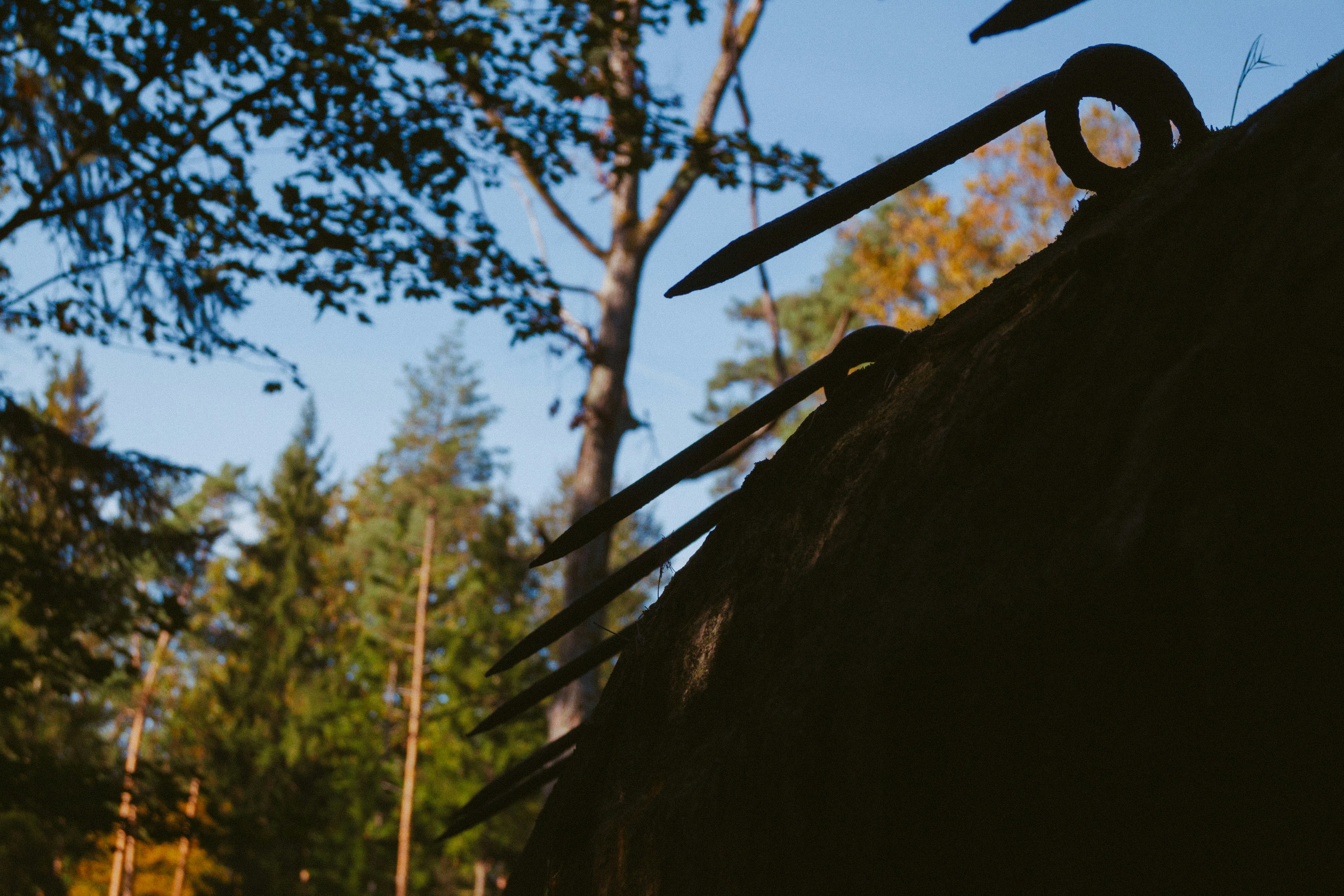 Photo by Ben Kupke with Canon EOS 500D