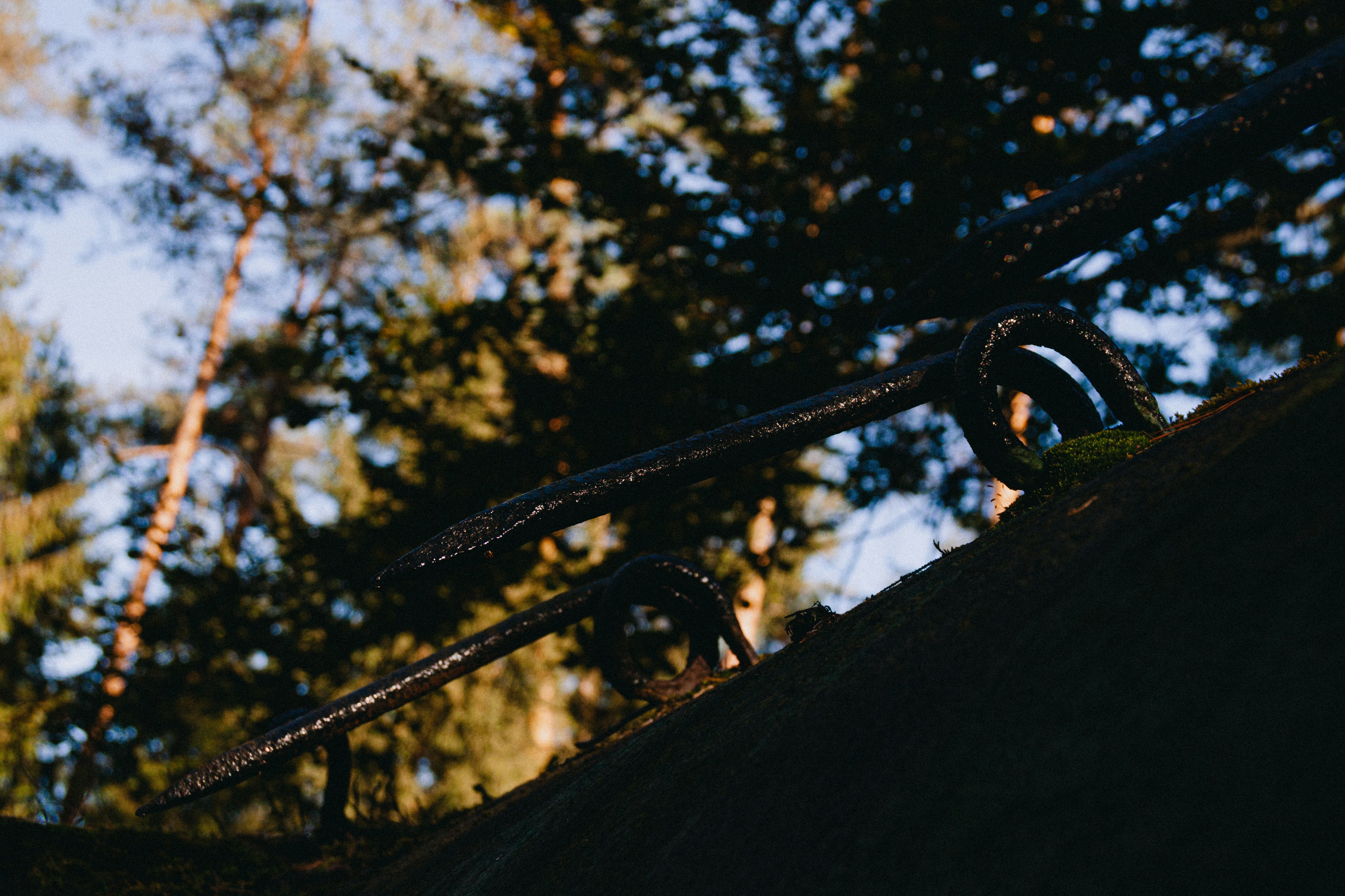 Photo by Ben Kupke with Canon EOS 500D