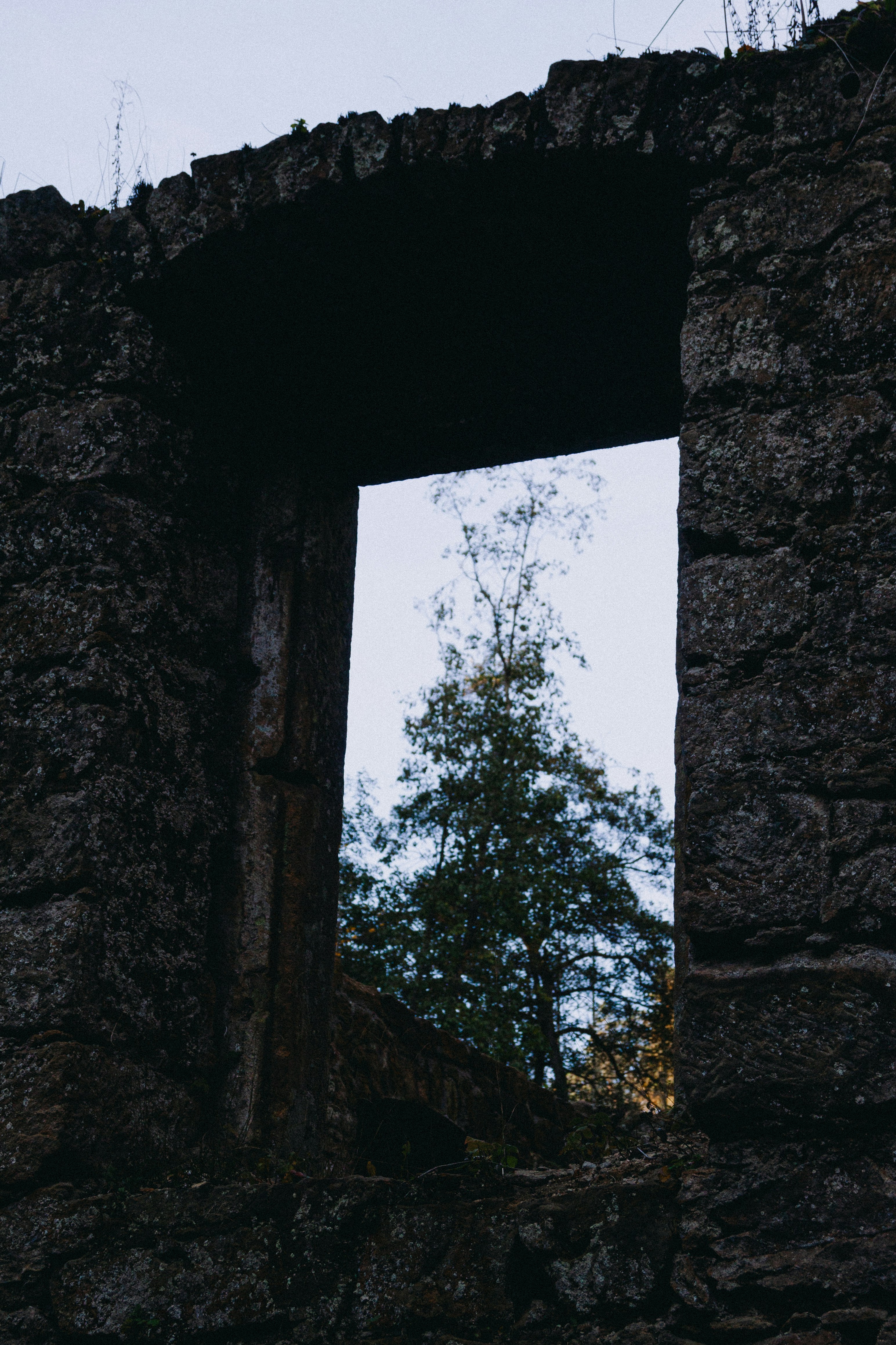 A window in a stone wall with a tree in the background